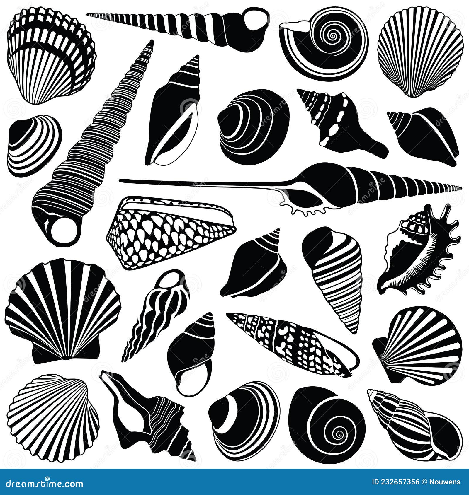 Shell Collection - Vector Silhouette Illustration Stock Vector ...