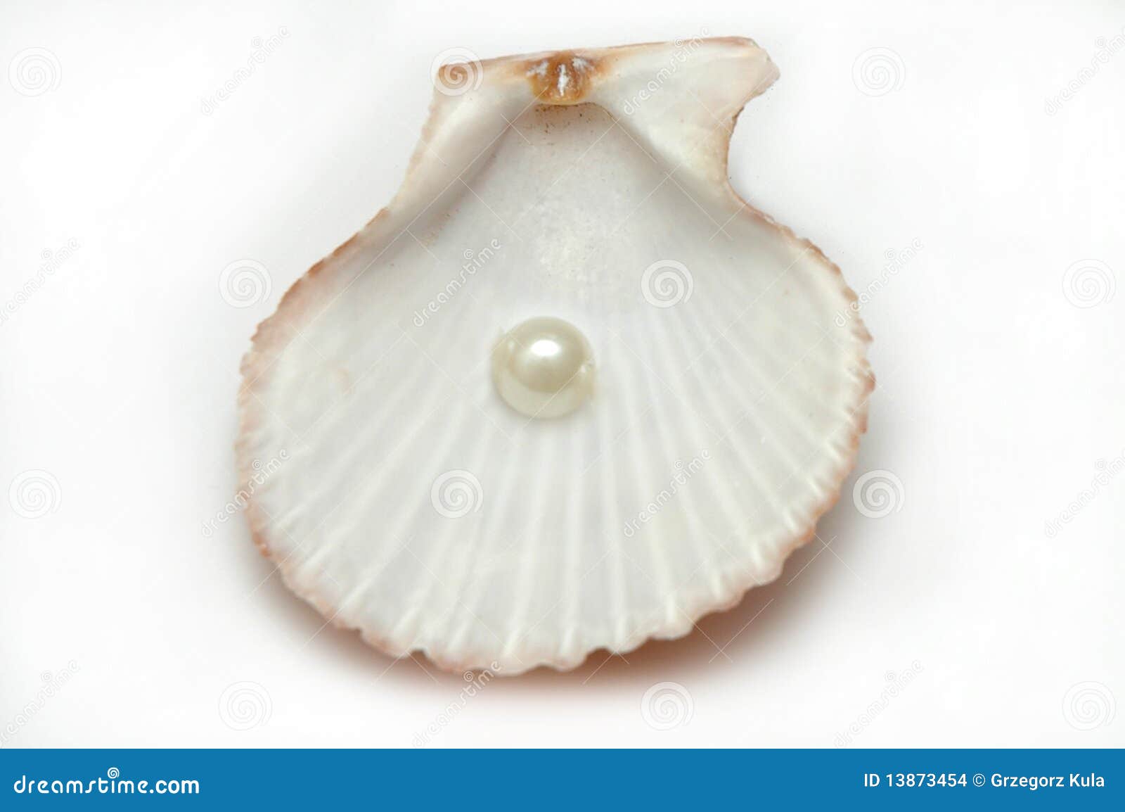 Shell con la perla foto de archivo. Imagen de conjurar - 13873454
