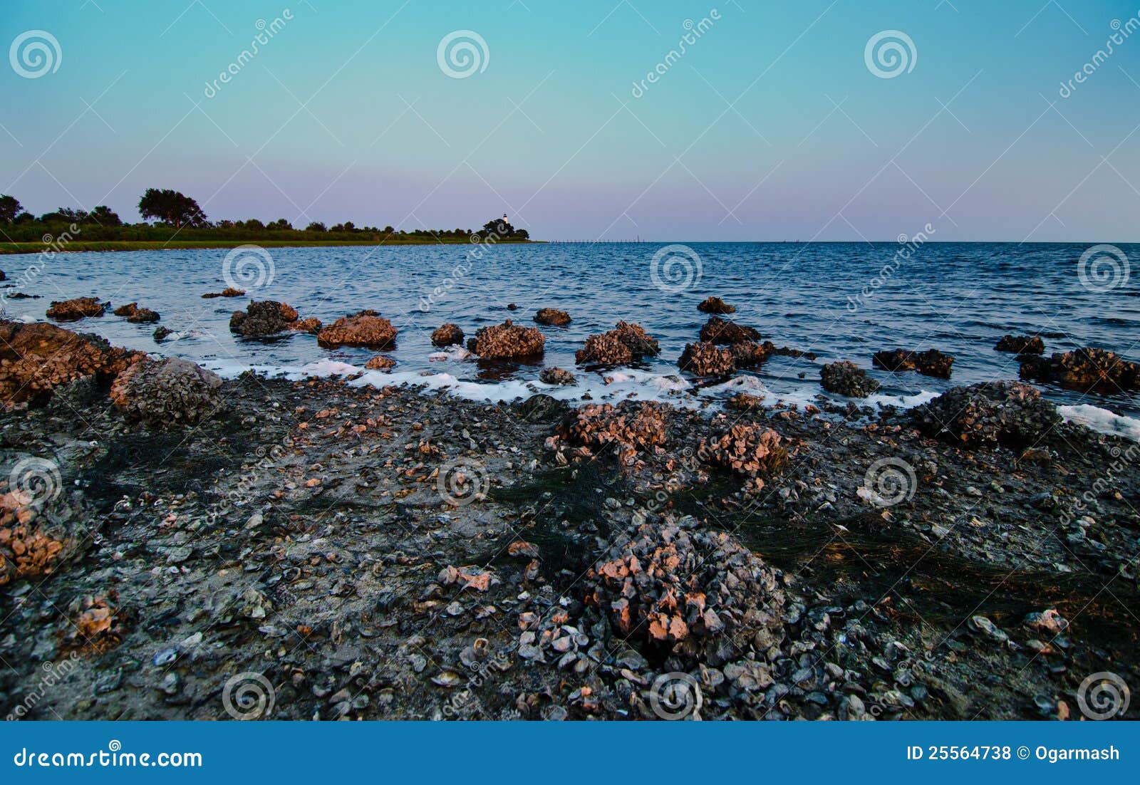 Shell Covered Stones on the Shore of St Marks Stock Photo - Image of ...
