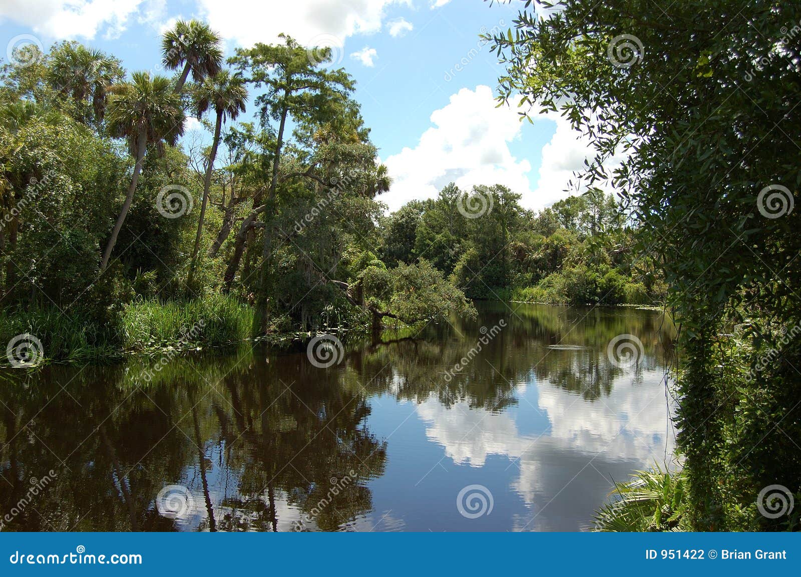 Shell Creek Scene 2 stock photo. Image of creek, scenic - 951422