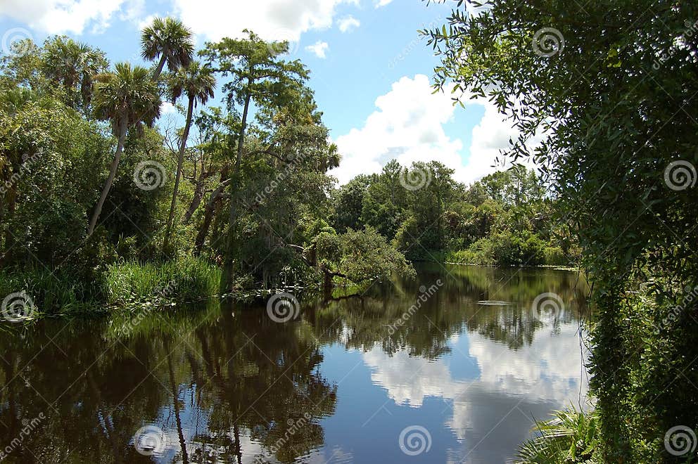 Shell Creek Scene 2 stock photo. Image of creek, scenic - 951422
