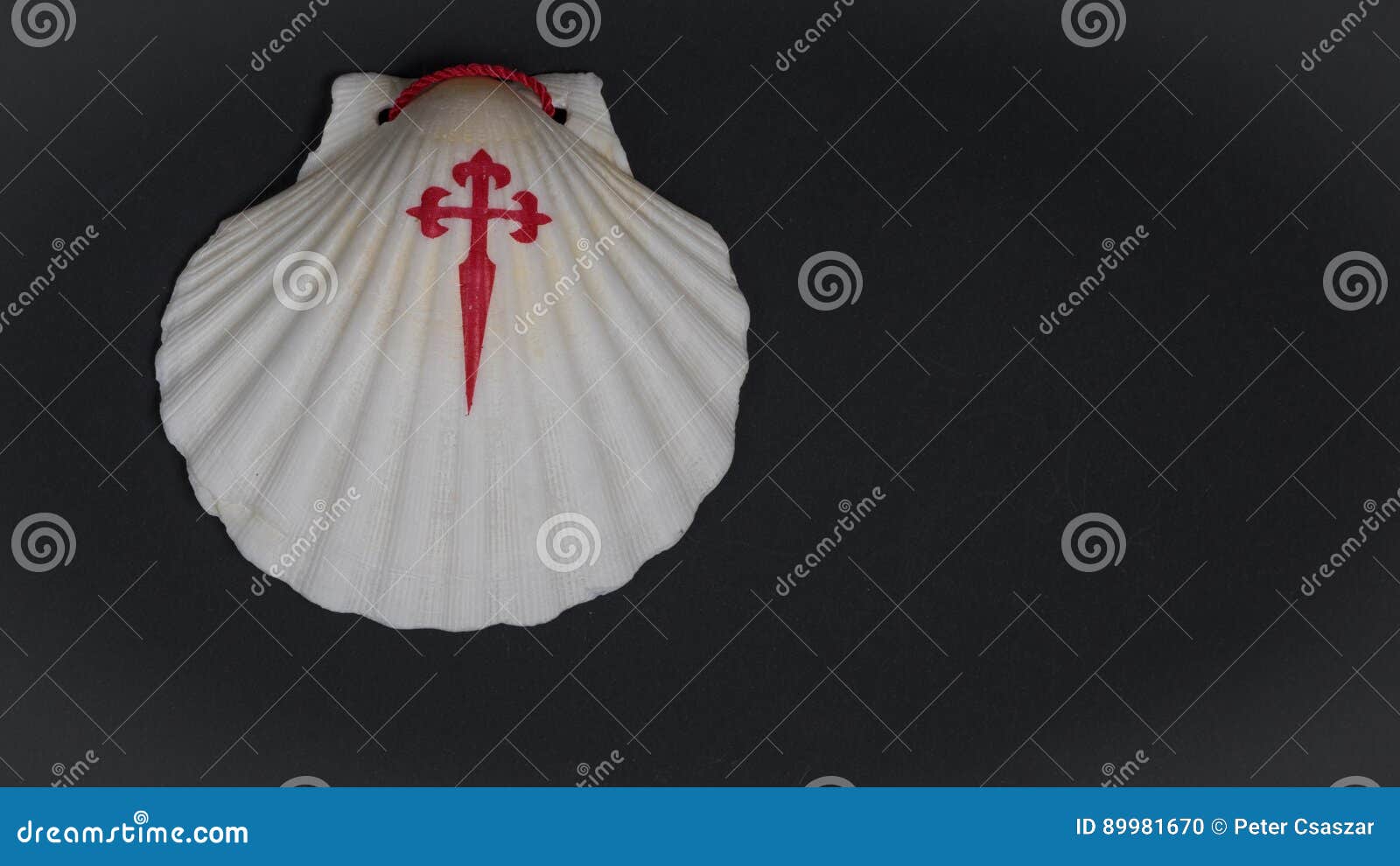 Shell with cross stock photo. Image of pilgrimage, jesus - 89981670