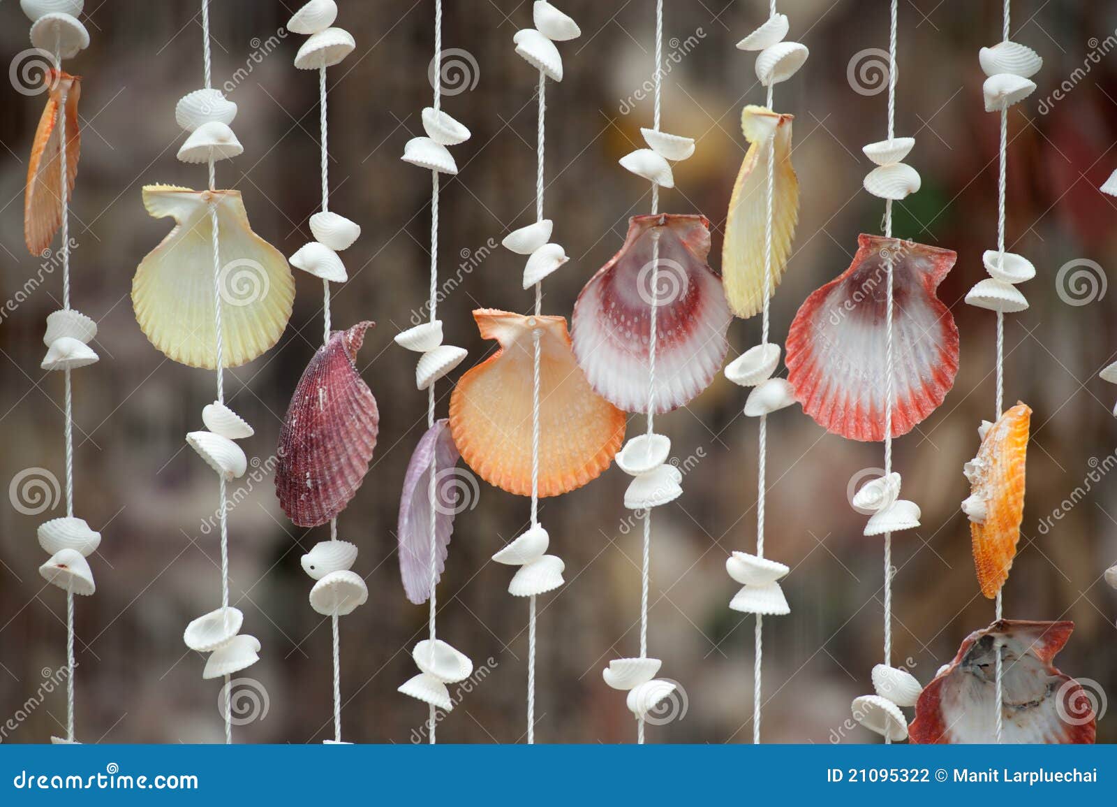 Shell curtain . stock photo. Image of outdoor, colorful - 21095322