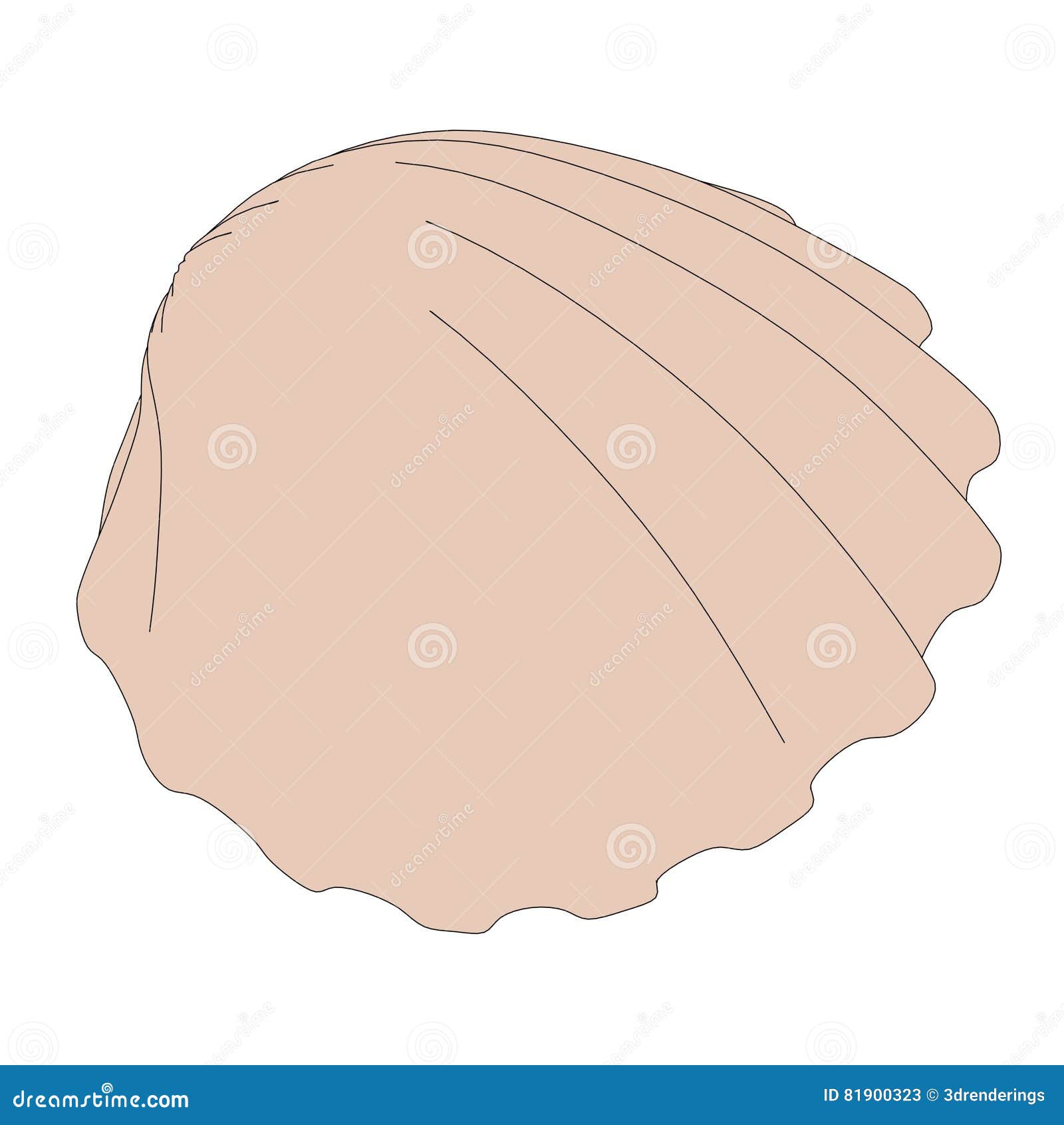Shell stock illustration. Illustration of snail, cartoon - 81900323