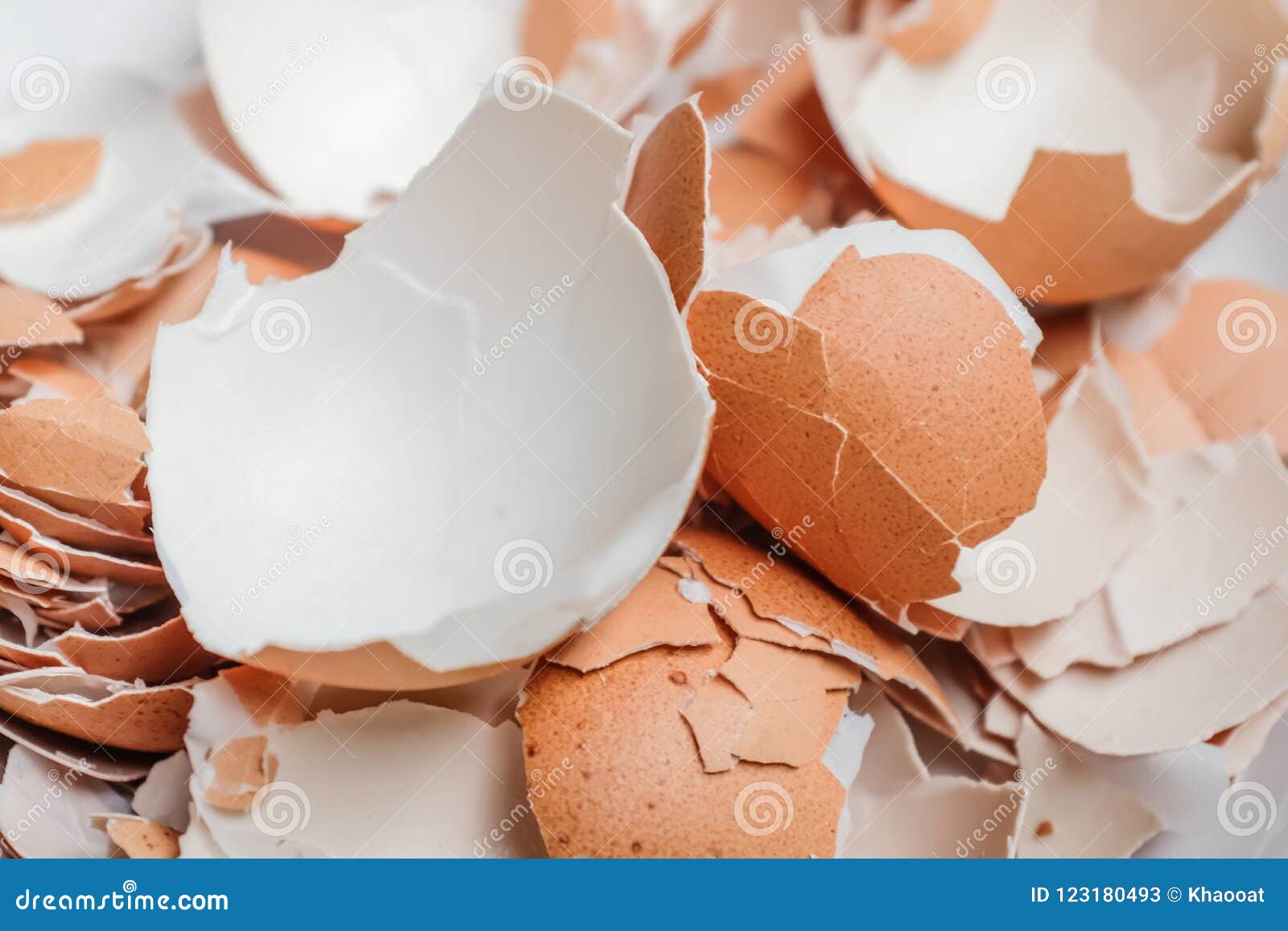 Shell De Ovo Rachado No Fundo Branco Imagem de Stock - Imagem de branco ...