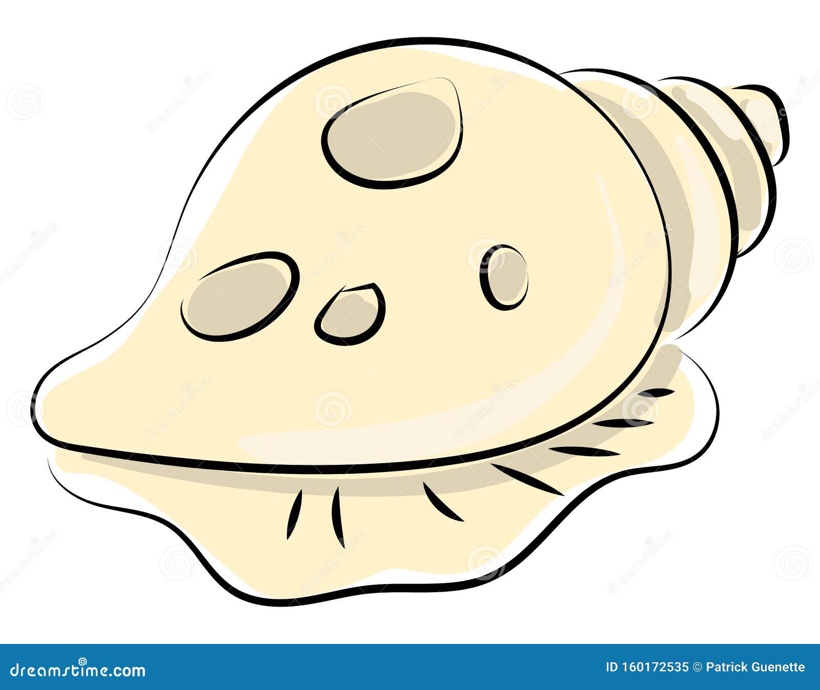 Shell Drawing, Illustration, Vector Stock Vector - Illustration of ...