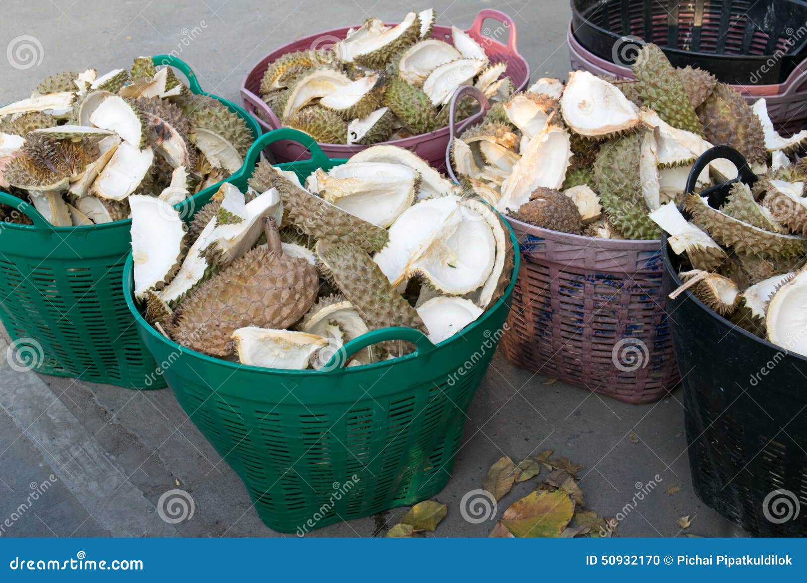 Shell durian in trashcan stock photo. Image of trashcan - 50932170