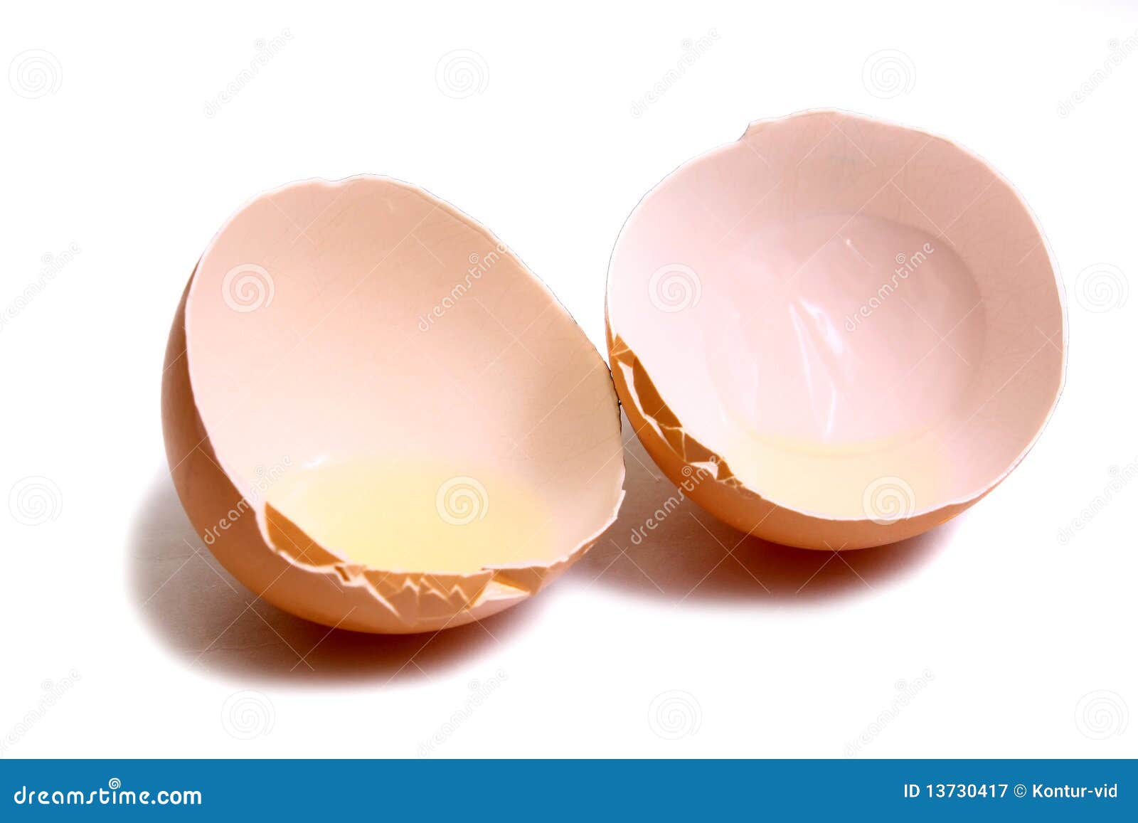 Shell of egg stock image. Image of food, ingredient, protein - 13730417