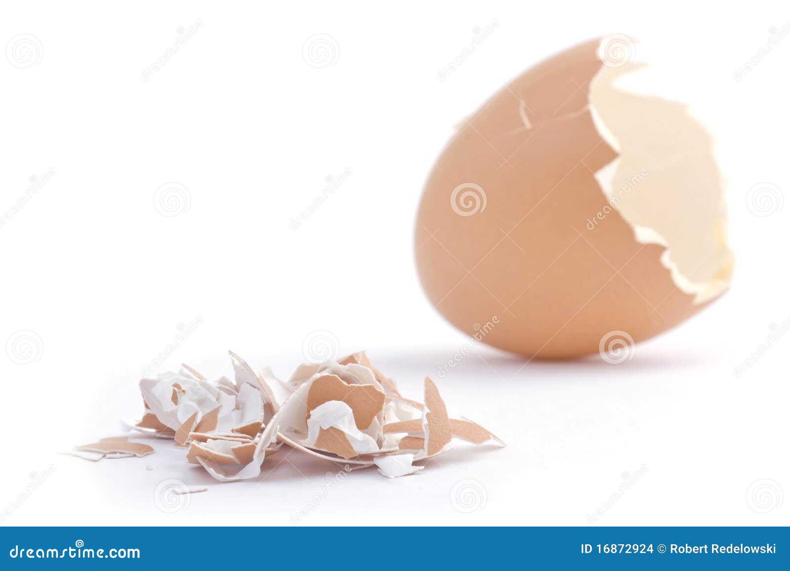 Shell of the egg. stock photo. Image of concept, closeup - 16872924