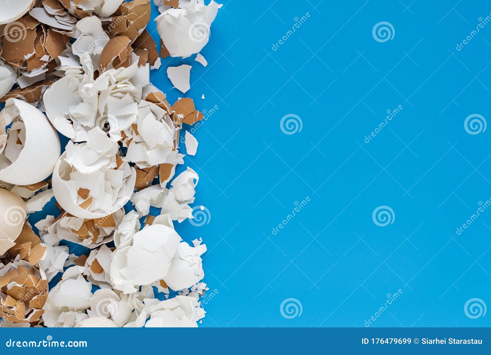 The Shell of the Eggs on a Blue Background Stock Image - Image of copy ...