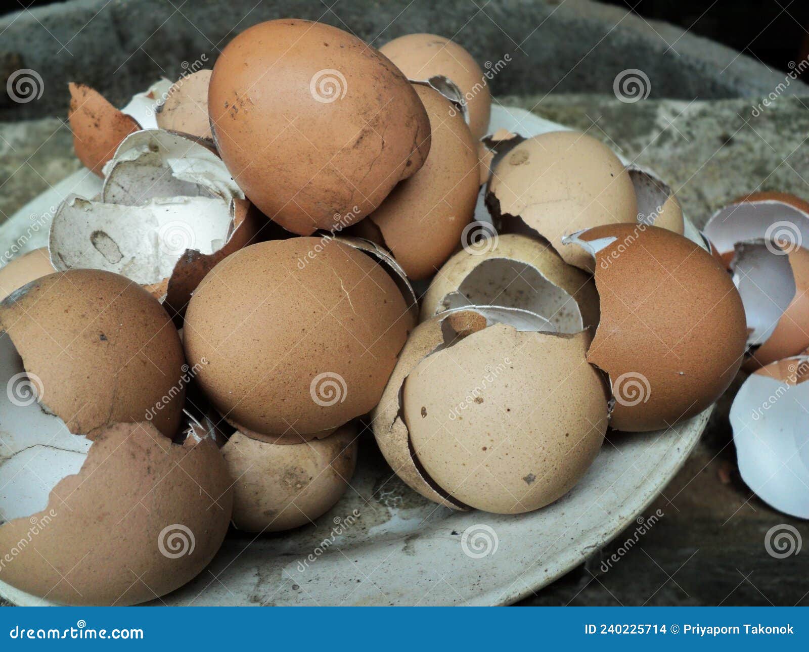 A Shell of an Eggs, with Many Eggs Shells on Old White Plate ...