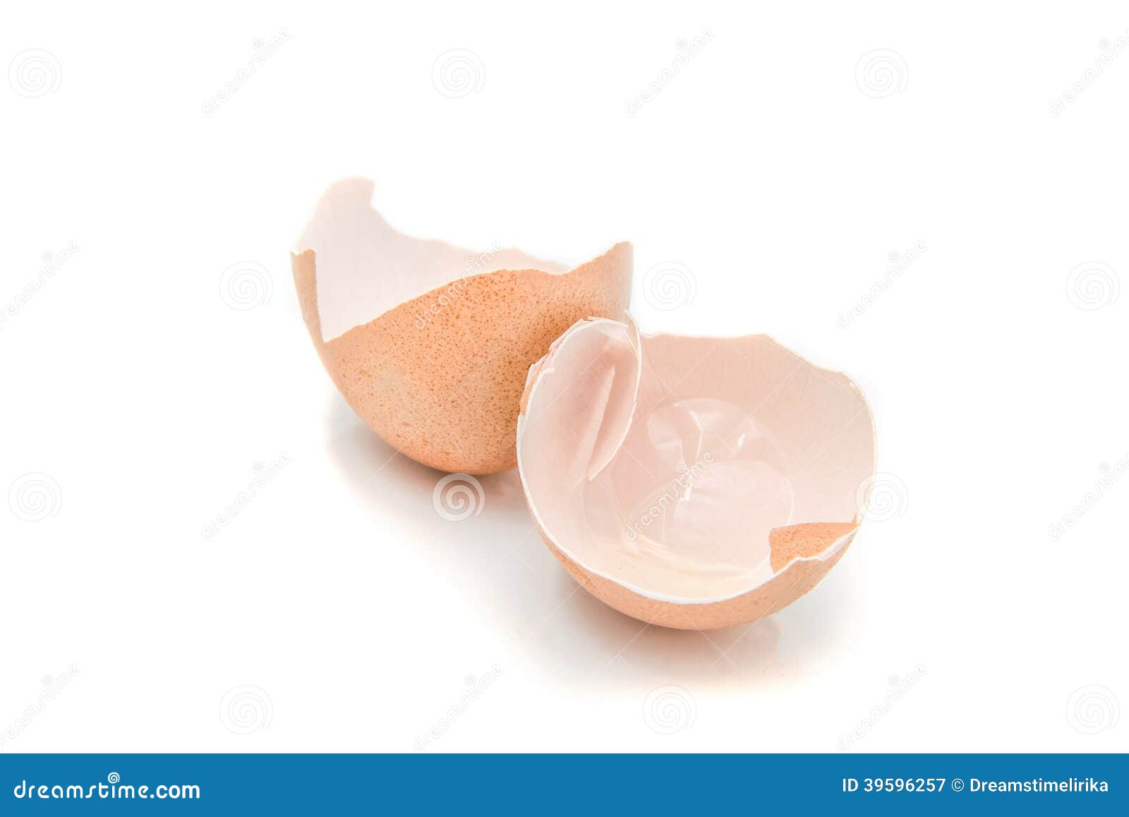The shell from eggs stock image. Image of protein, cholesterol - 39596257