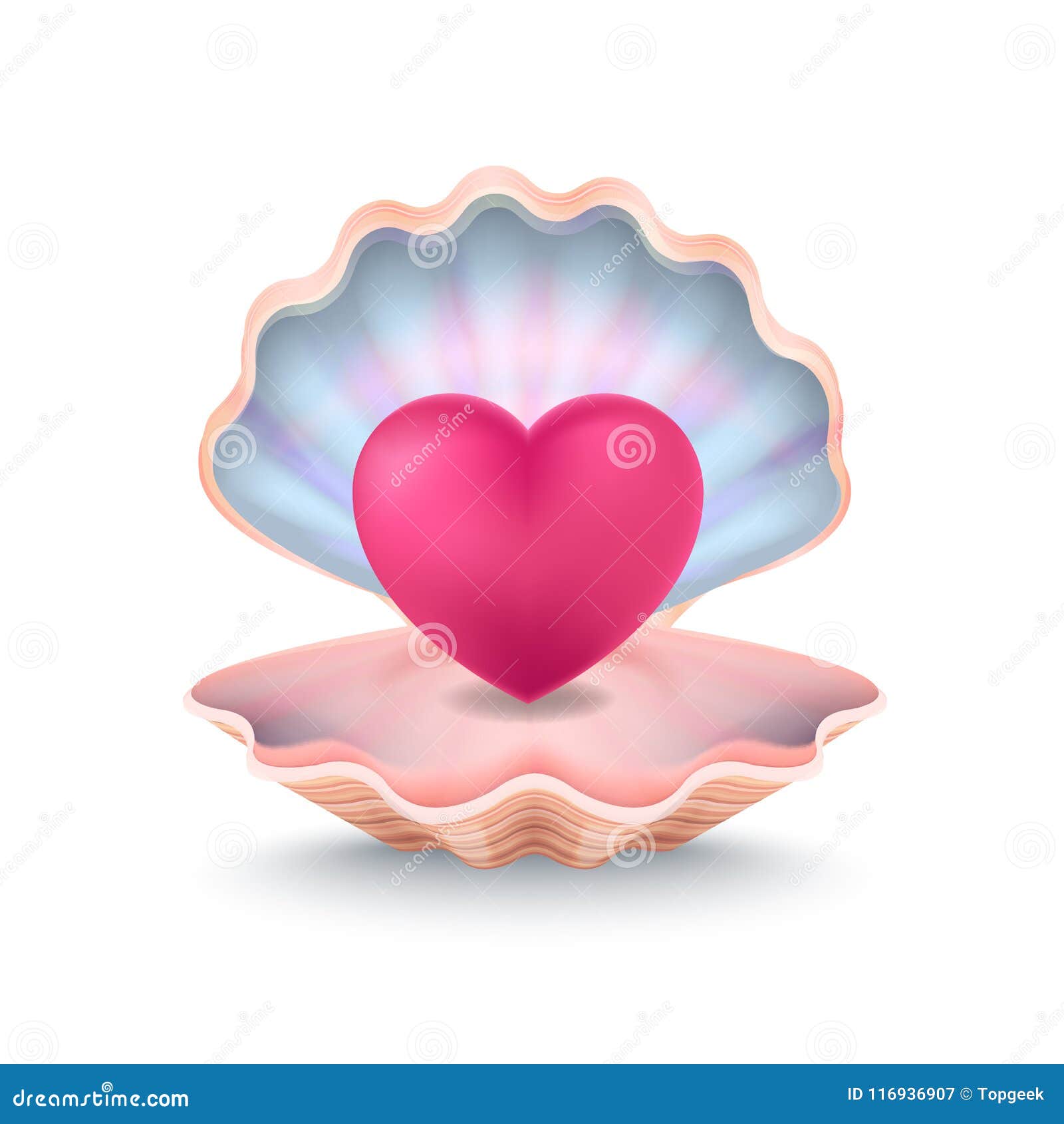 Shell Elegant Poster Con El Ejemplo Del Vector Del Texto Ilustración ...