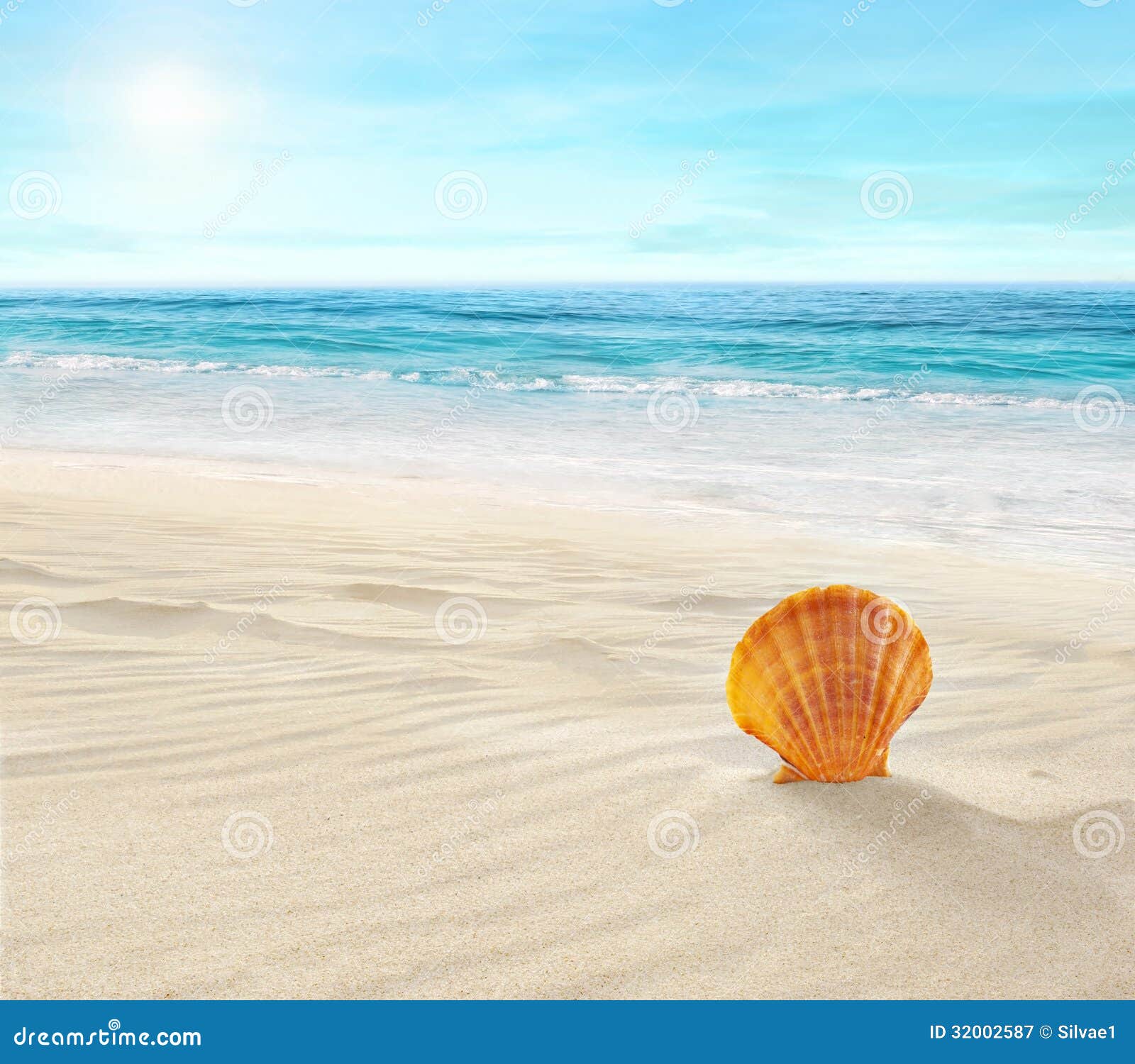 Shell en la playa tropical imagen de archivo. Imagen de fondo - 32002587