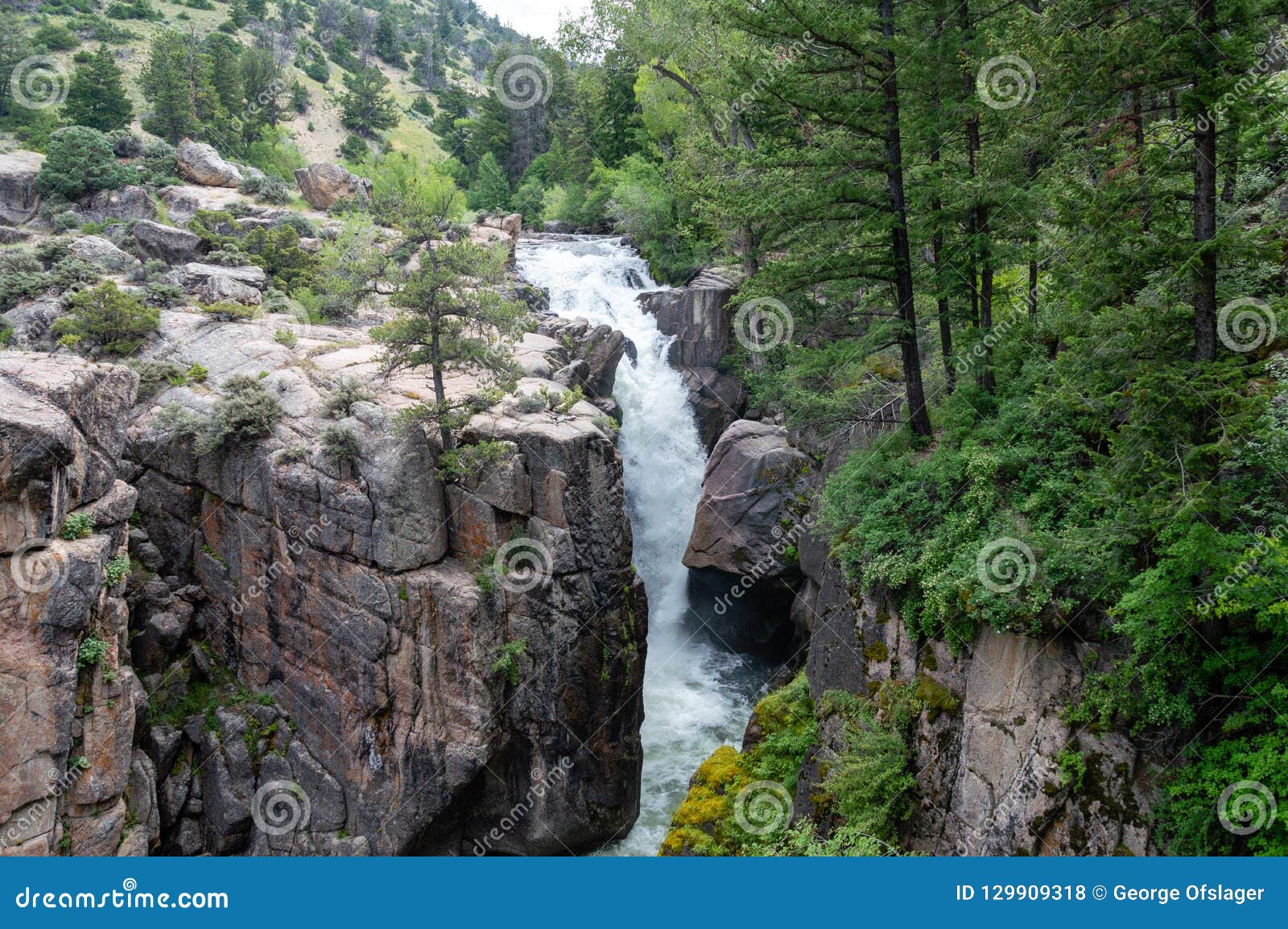 Shell Falls, Wyoming stock photo. Image of landscape - 129909318
