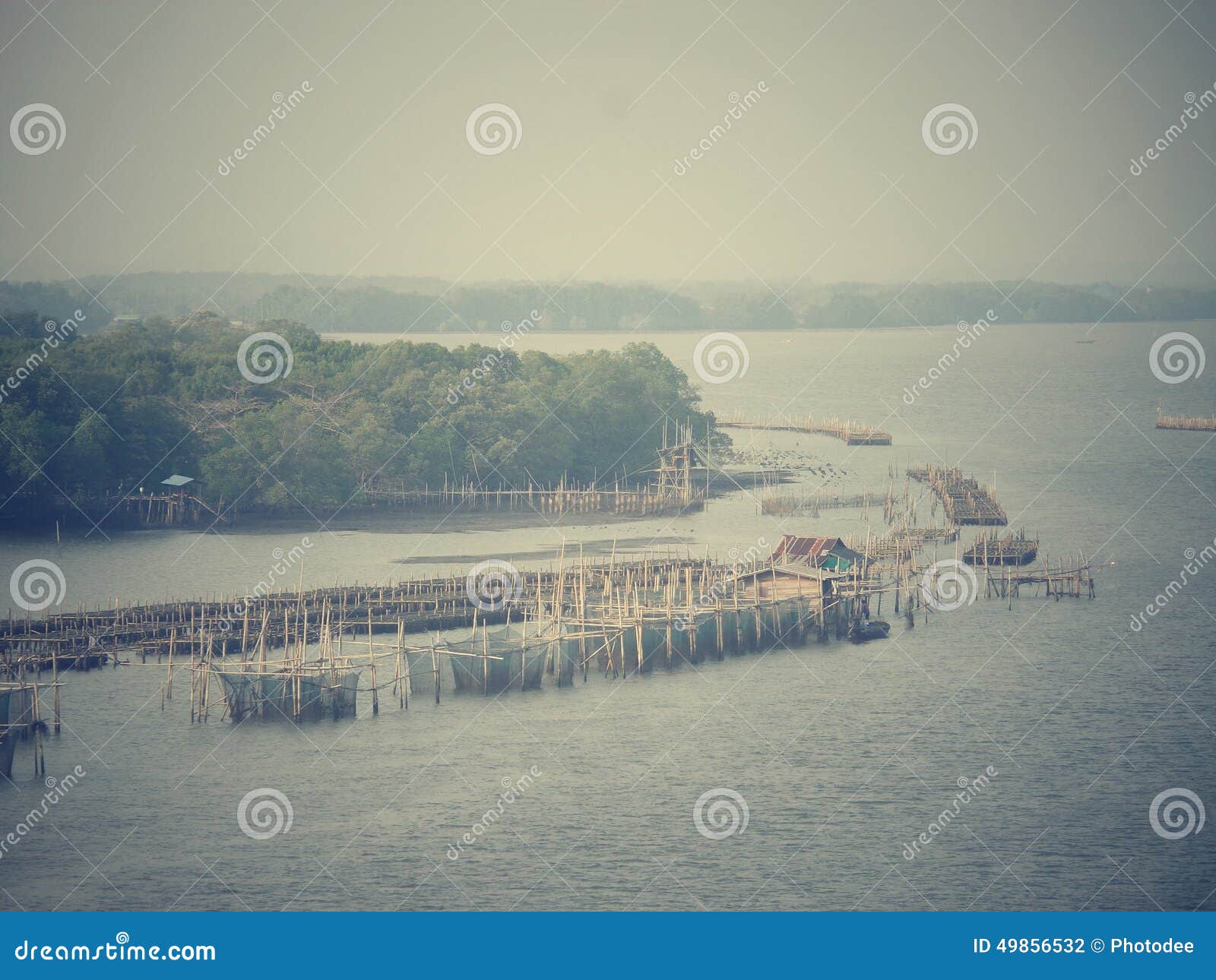 Shell farming stock photo. Image of shell, ocean, seafood - 49856532