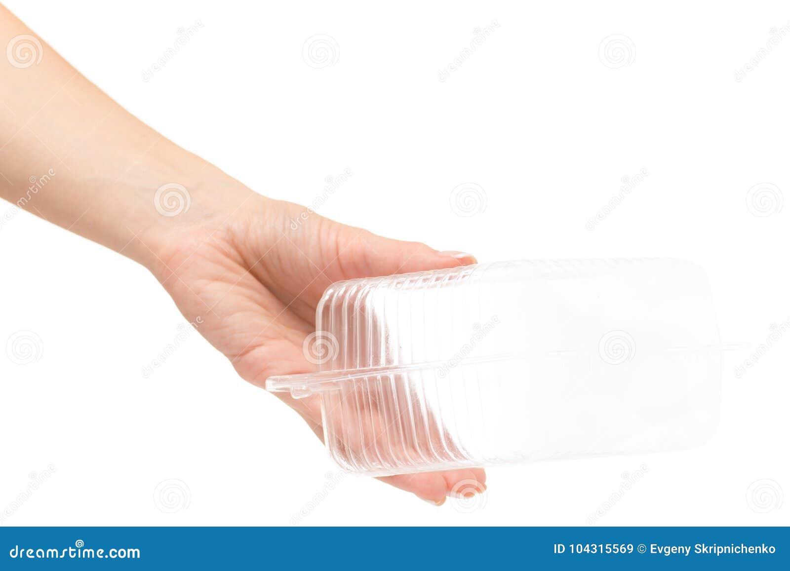 Shell in female hand stock image. Image of aquatic, ocean - 104315569