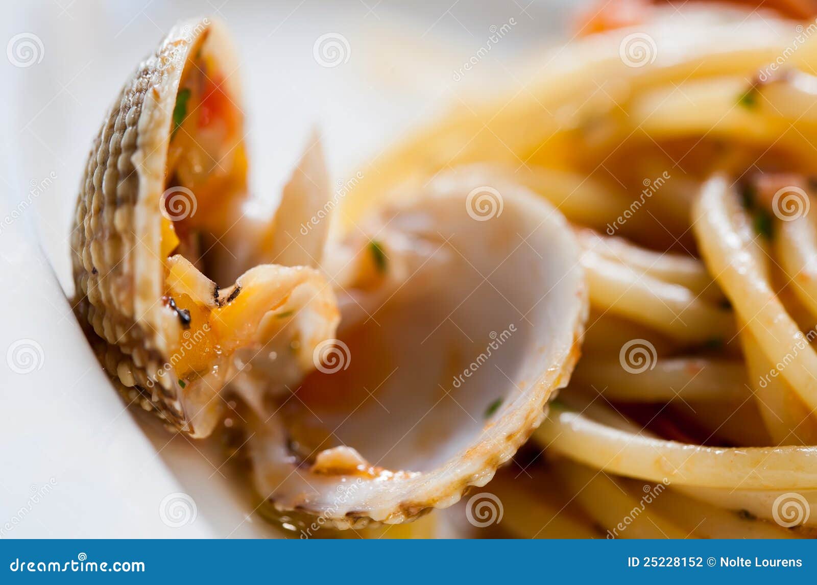 Shell fish stock photo. Image of meal, dish, fresh, healthy - 25228152