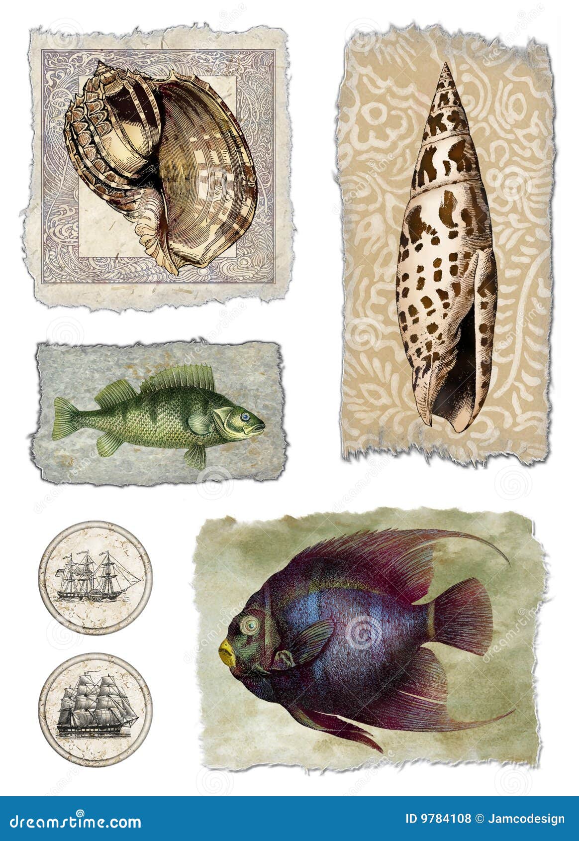 Hand Colored Fish Etchings Stock Illustrations – 2 Hand Colored Fish ...