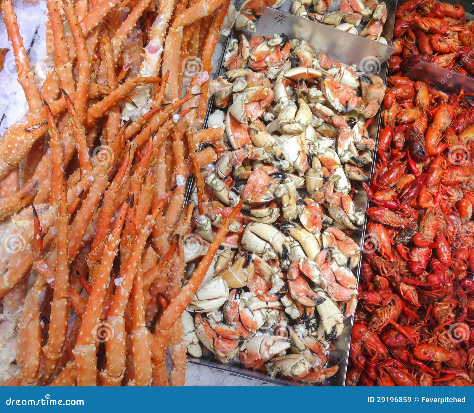 Shell Fish Market Variety Sur La Glace Image stock - Image du ...
