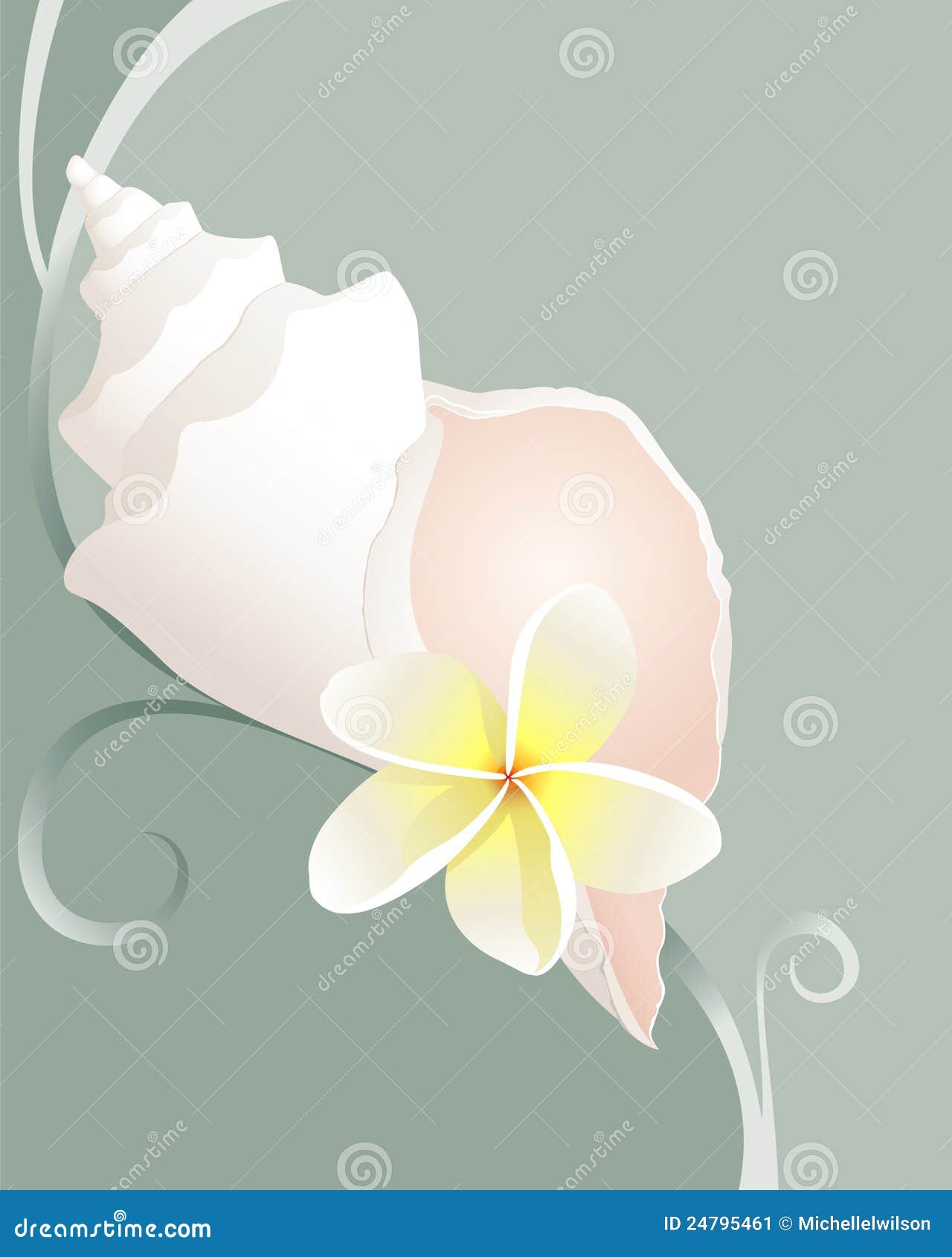 Shell with flower stock vector. Illustration of white - 24795461