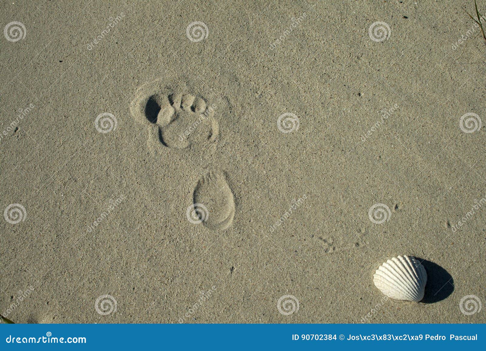 Shell and Footprint on the Beach Stock Photo - Image of view, frame ...