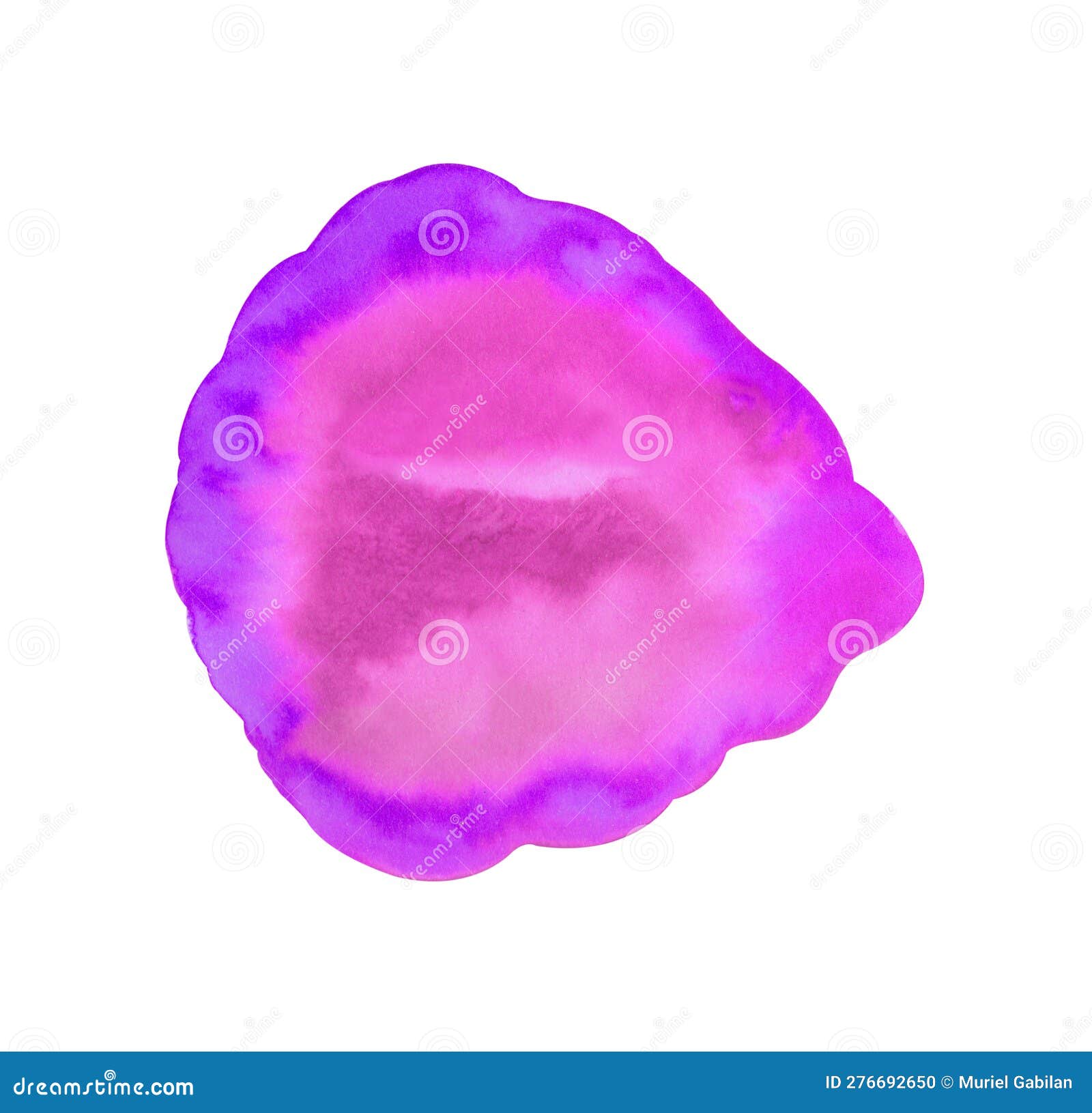 Shell Form Drawn with Watercolor,handmade on White Background Stock ...