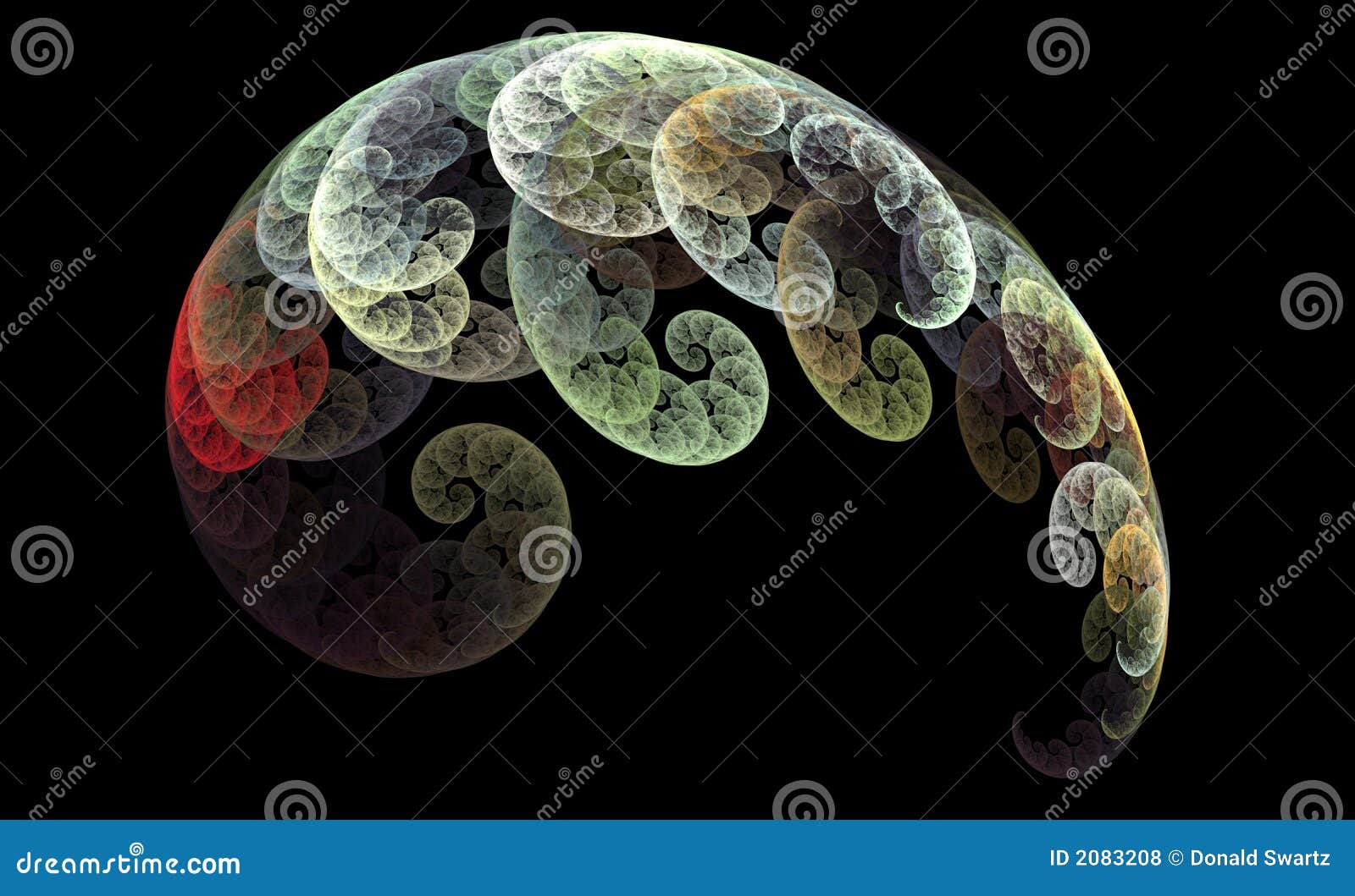 Shell Fractal stock illustration. Illustration of black - 2083208