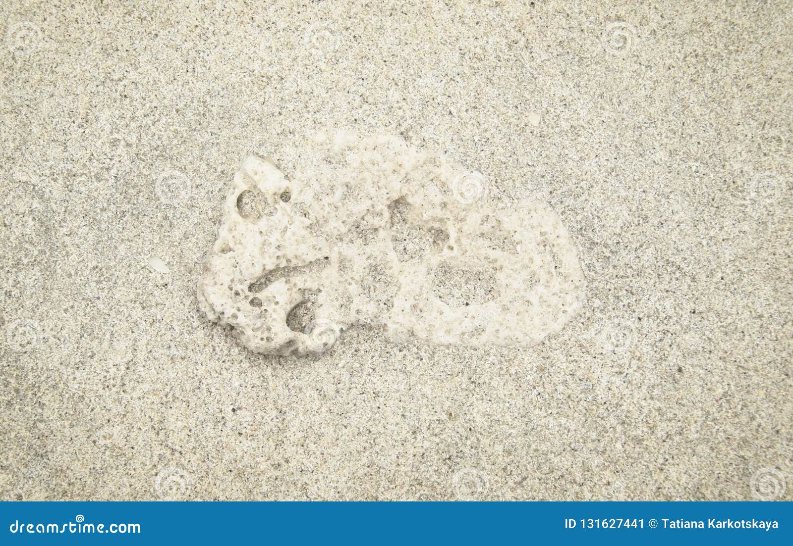 Shell fragments in sand stock image. Image of monochrome - 131627441