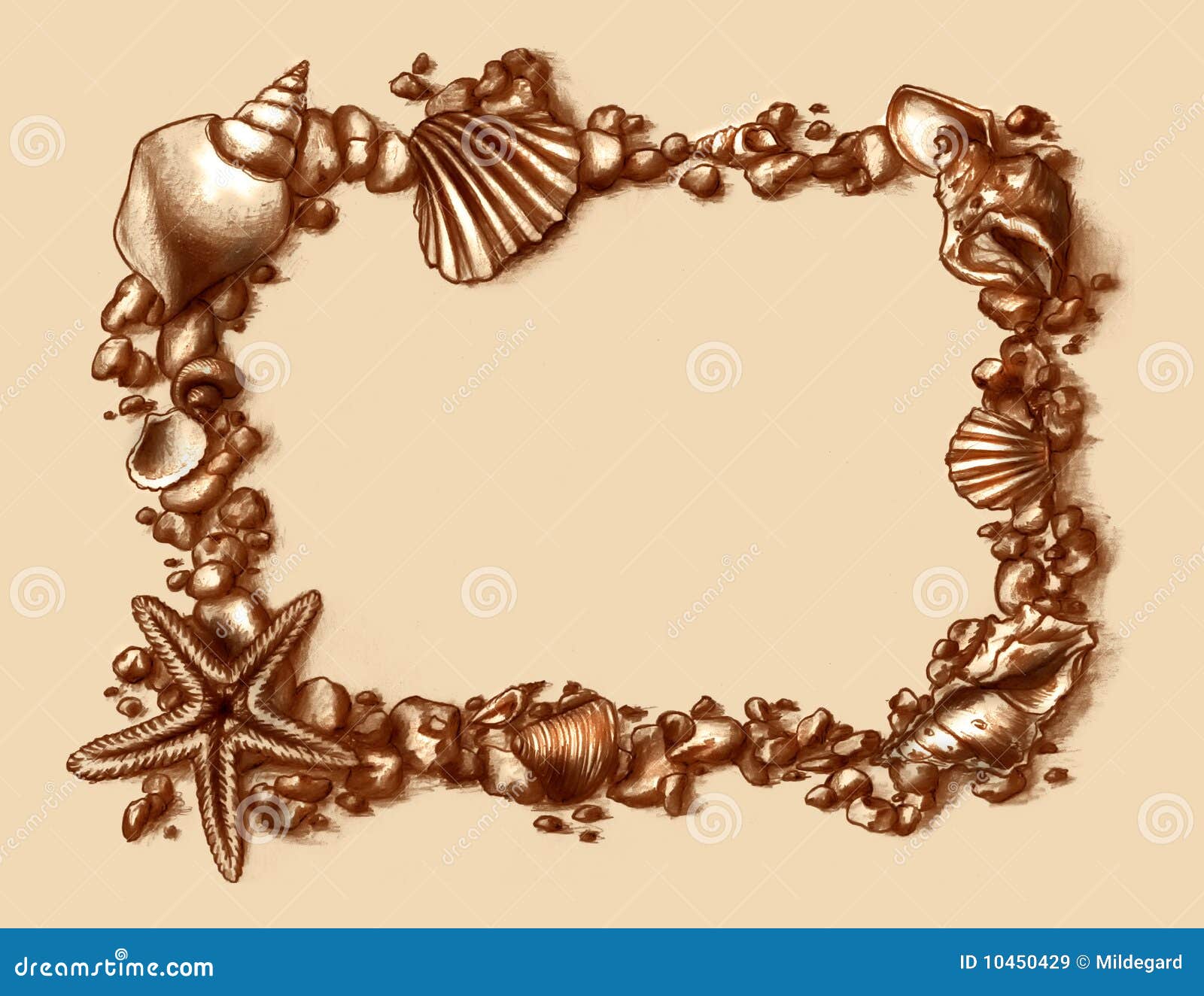Shell frame stock illustration. Illustration of cockle - 10450429