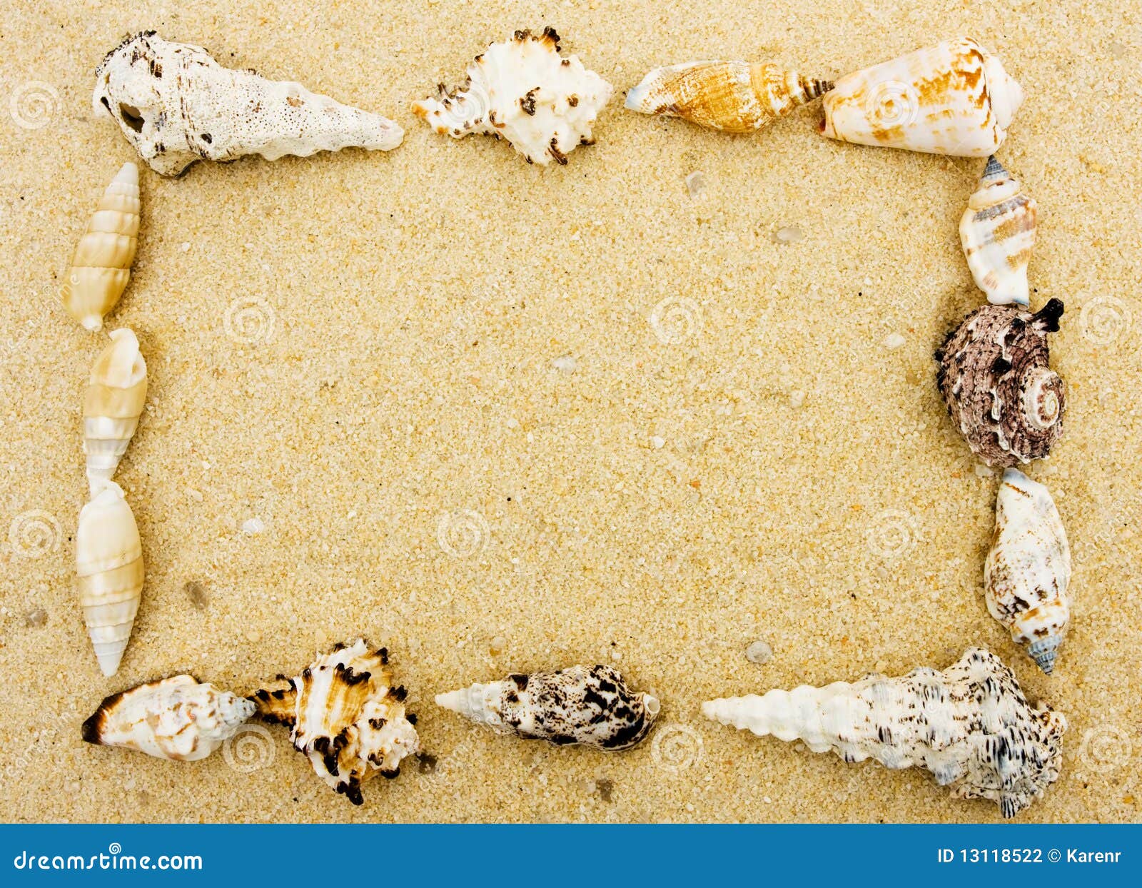 Shell Frame stock photo. Image of resort, tropical, sand - 13118522