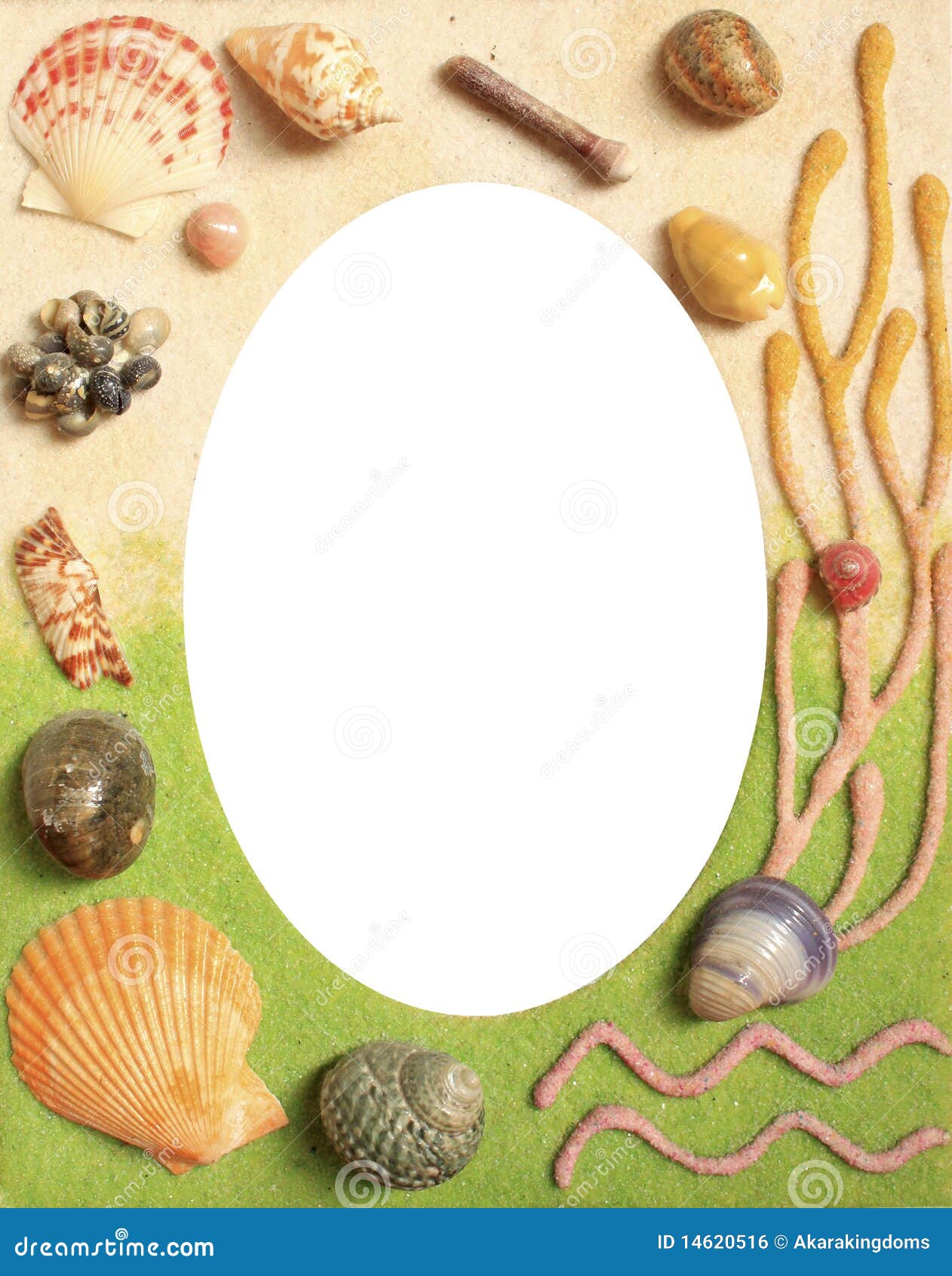 Sea Shell Frame Stock Image | CartoonDealer.com #13238935