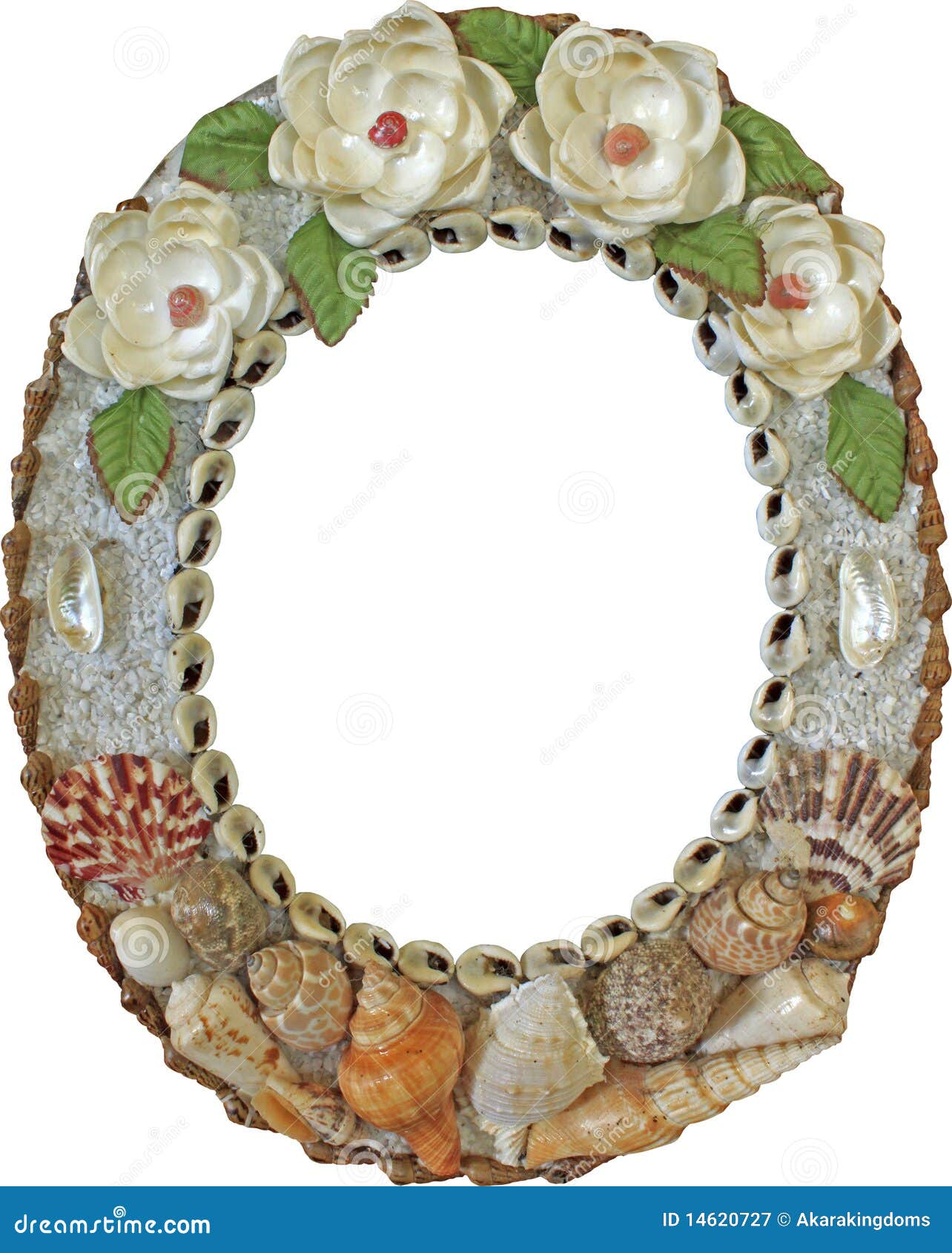 Sea Shell Frame Stock Image | CartoonDealer.com #13238935