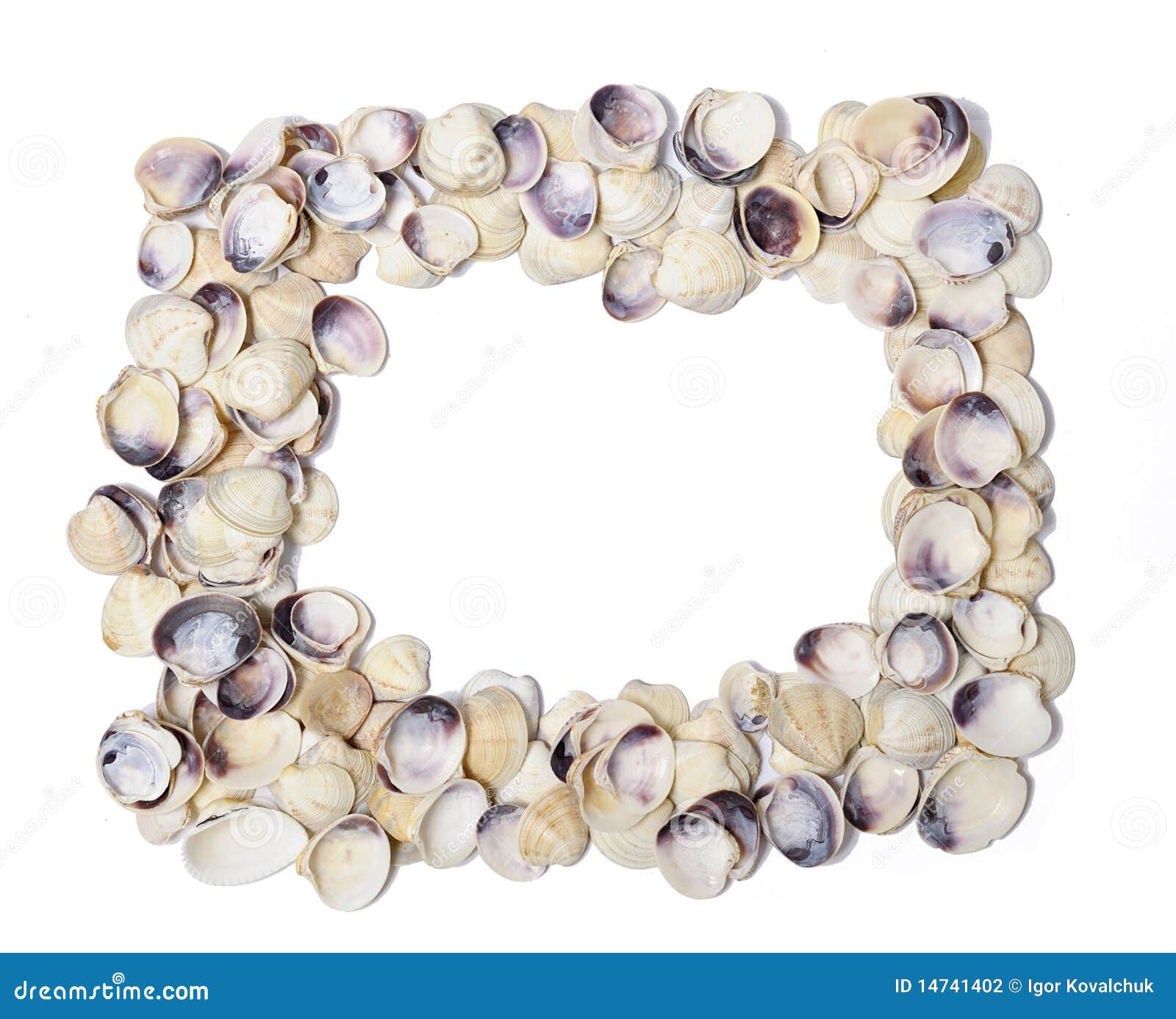 Shell frame stock foto. Image of geïsoleerd, verzamel - 14741402