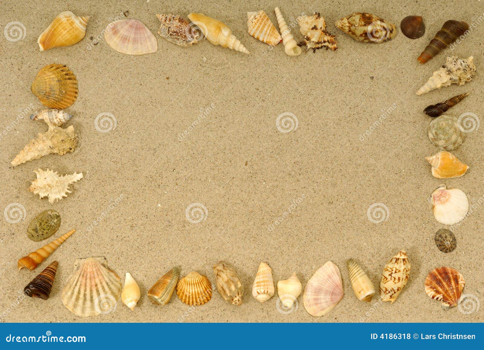 Shell frame stock photo. Image of macro, grunge, concept - 4186318