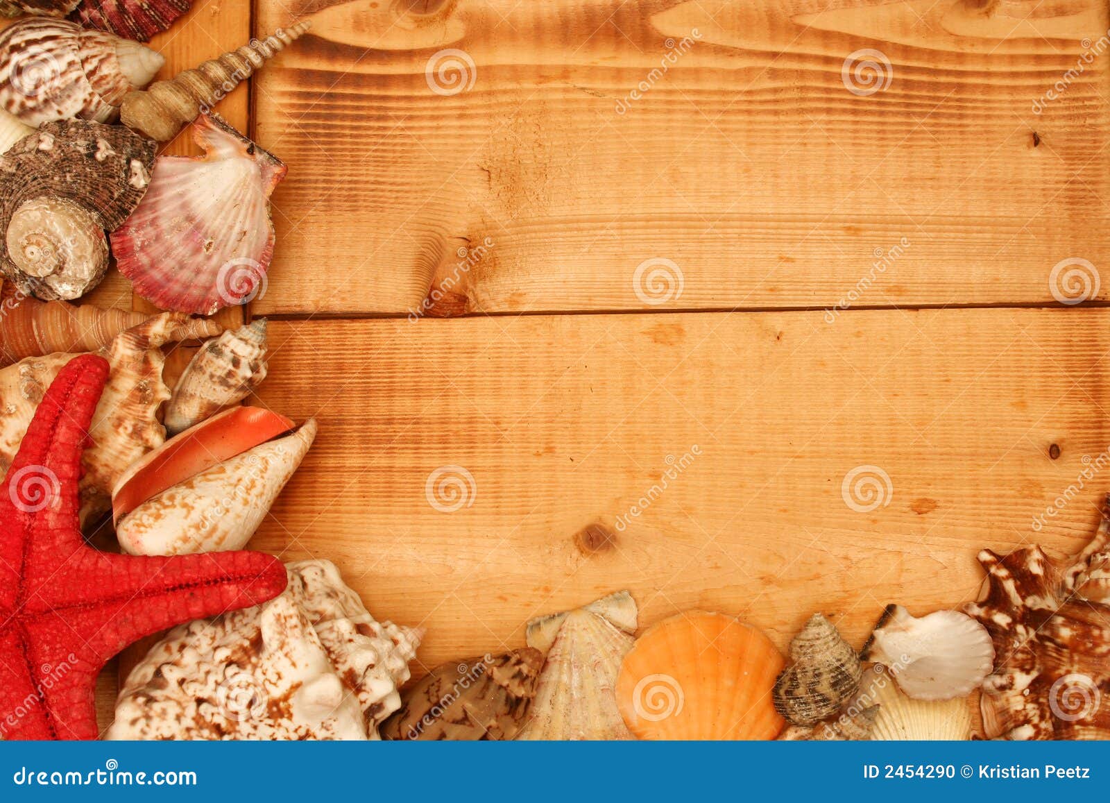 Shell frame on wood stock photo. Image of leisure, nature - 2454290