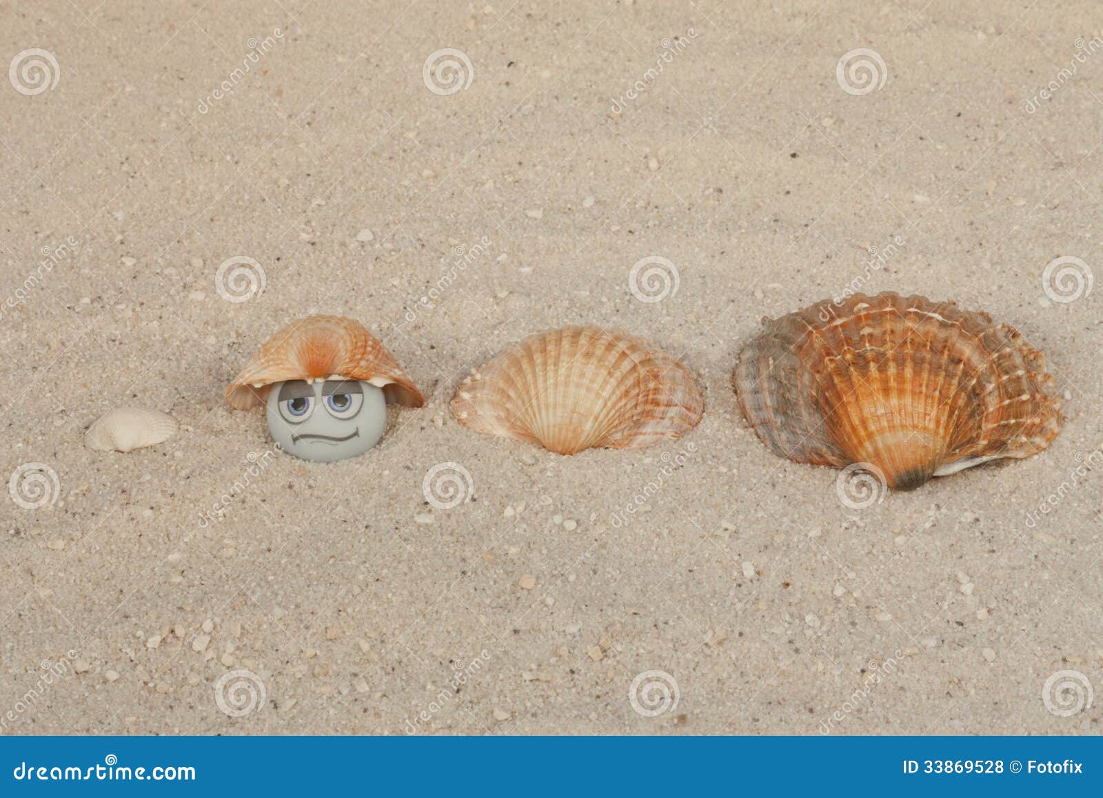Shell game stock photo. Image of shell, holidaycard, beach - 33869528
