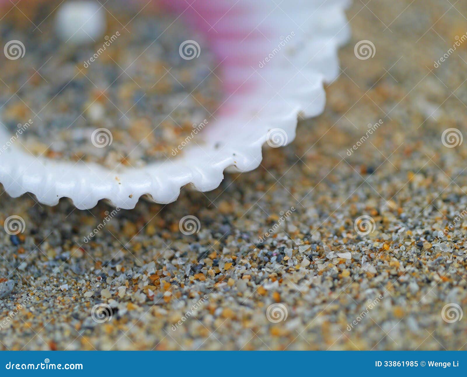 Shell gear stock image. Image of detail, beautiful, gear - 33861985