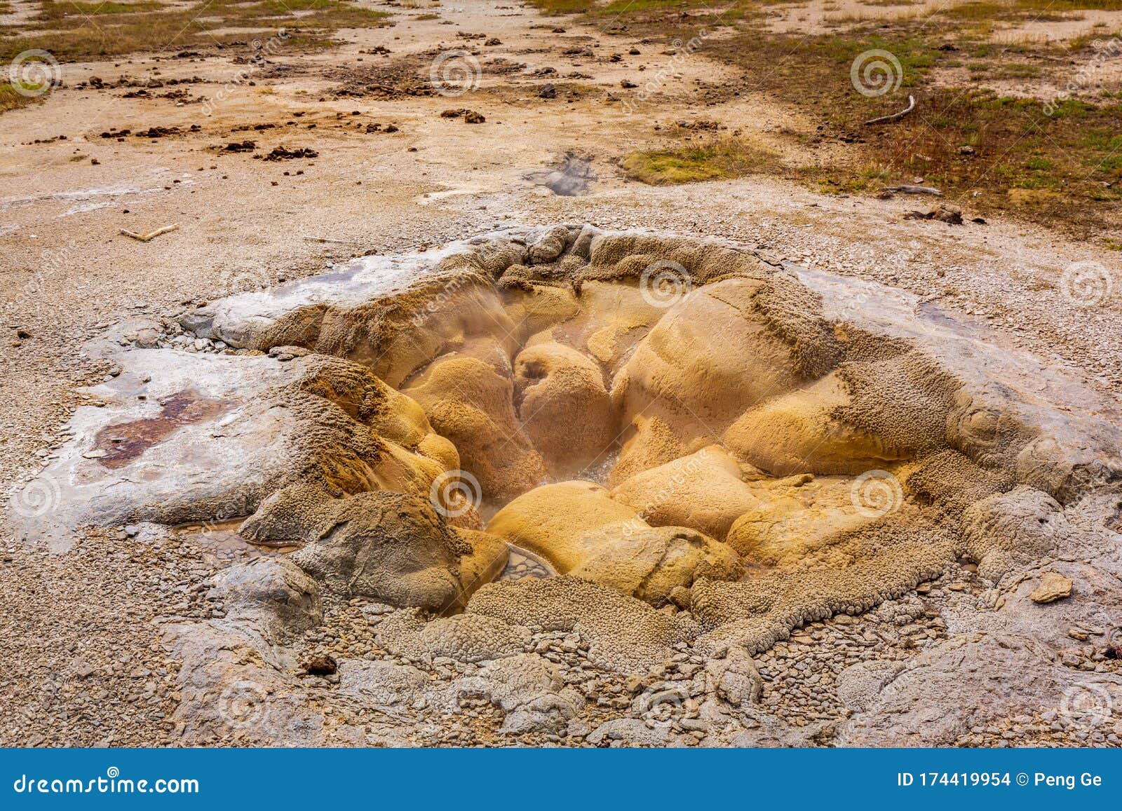 Shell Geyser in Yellowstone Stock Photo - Image of geothermal, wyoming ...