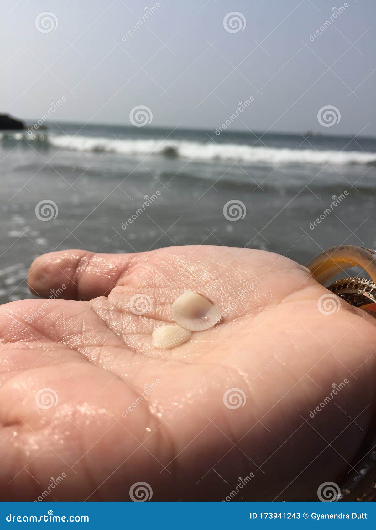 Shell at goa beach stock image. Image of landscape, hand - 173941243