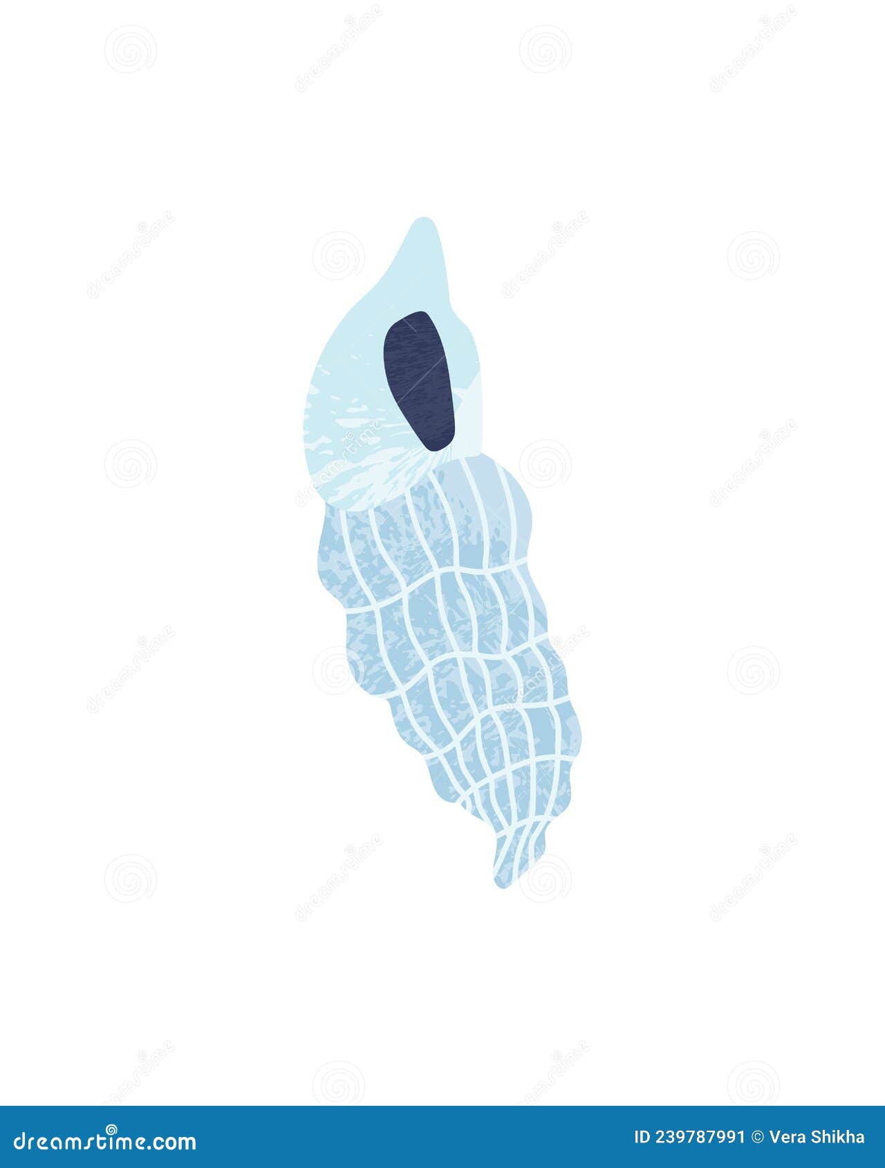 Shell Hand Drawn, Great Design for Any Purposes. Abstract Art. Vector ...