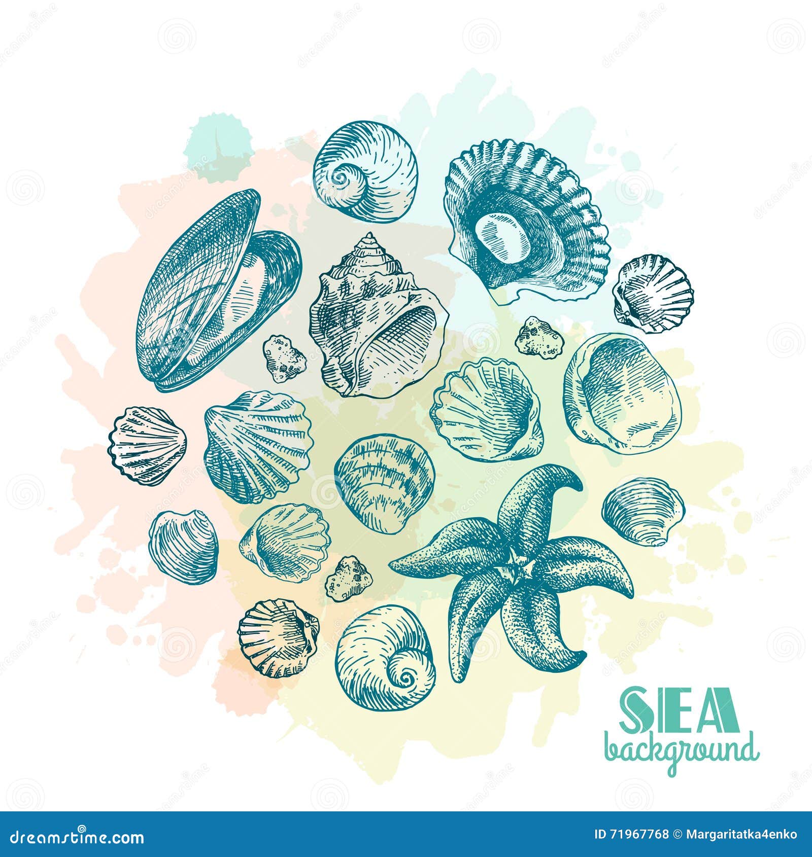 Shell hand drawn stock vector. Illustration of ocean - 71967768