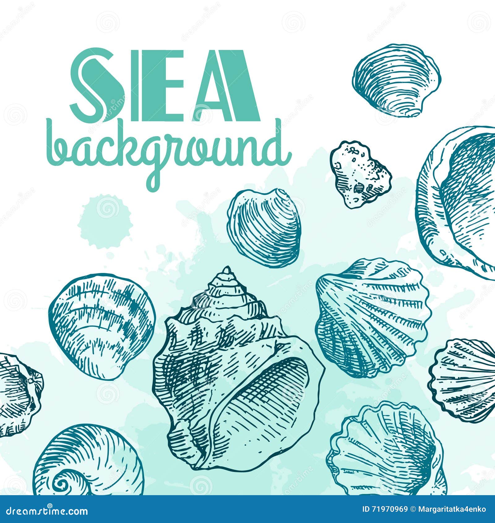 Shell hand drawn stock vector. Illustration of drawing - 71970969