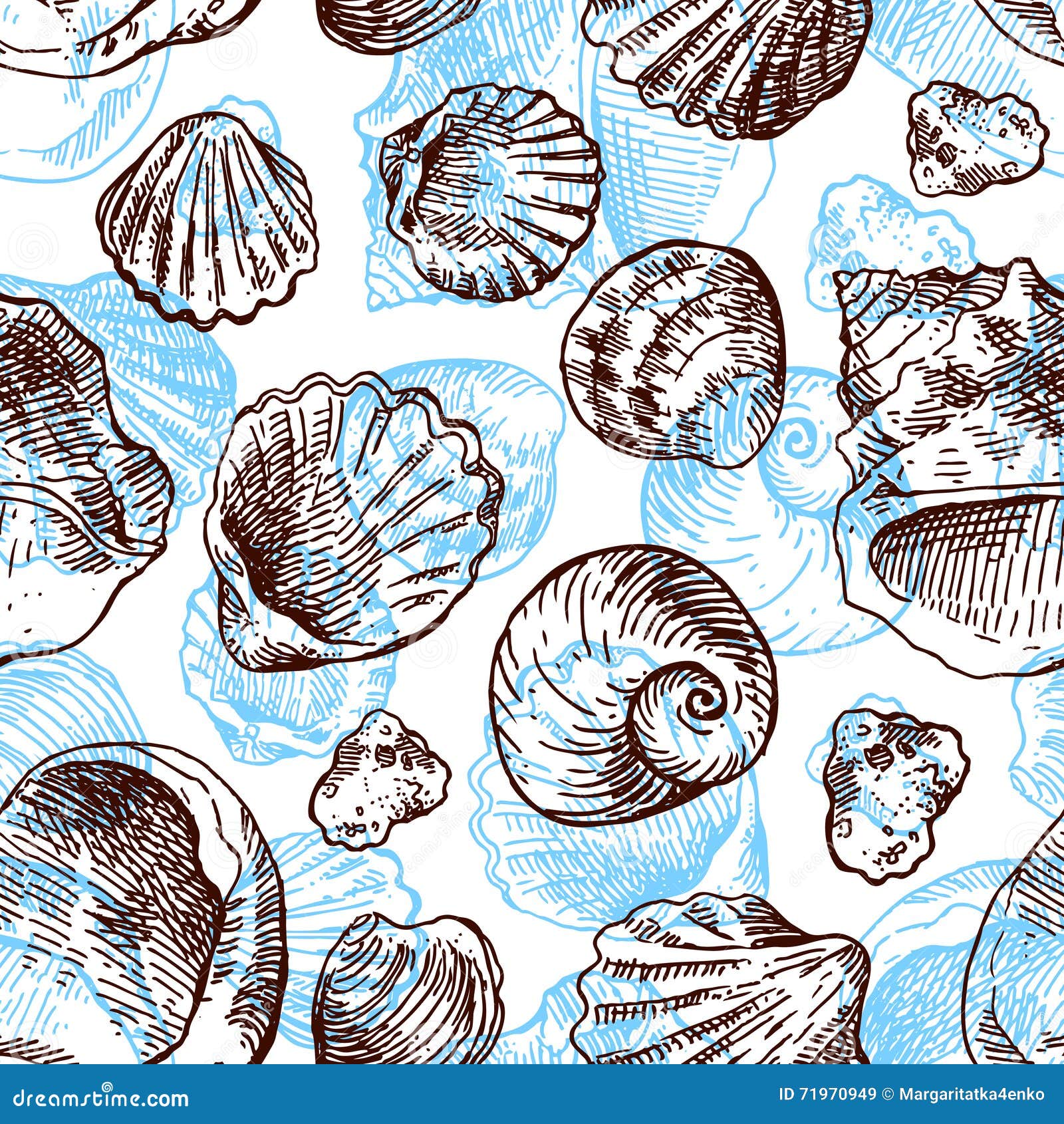 Shell hand drawn stock vector. Illustration of graphic - 71970949