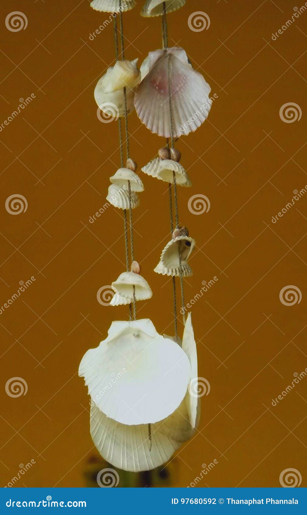 Shell stock photo. Image of memorial, bunch, hanging - 97680592