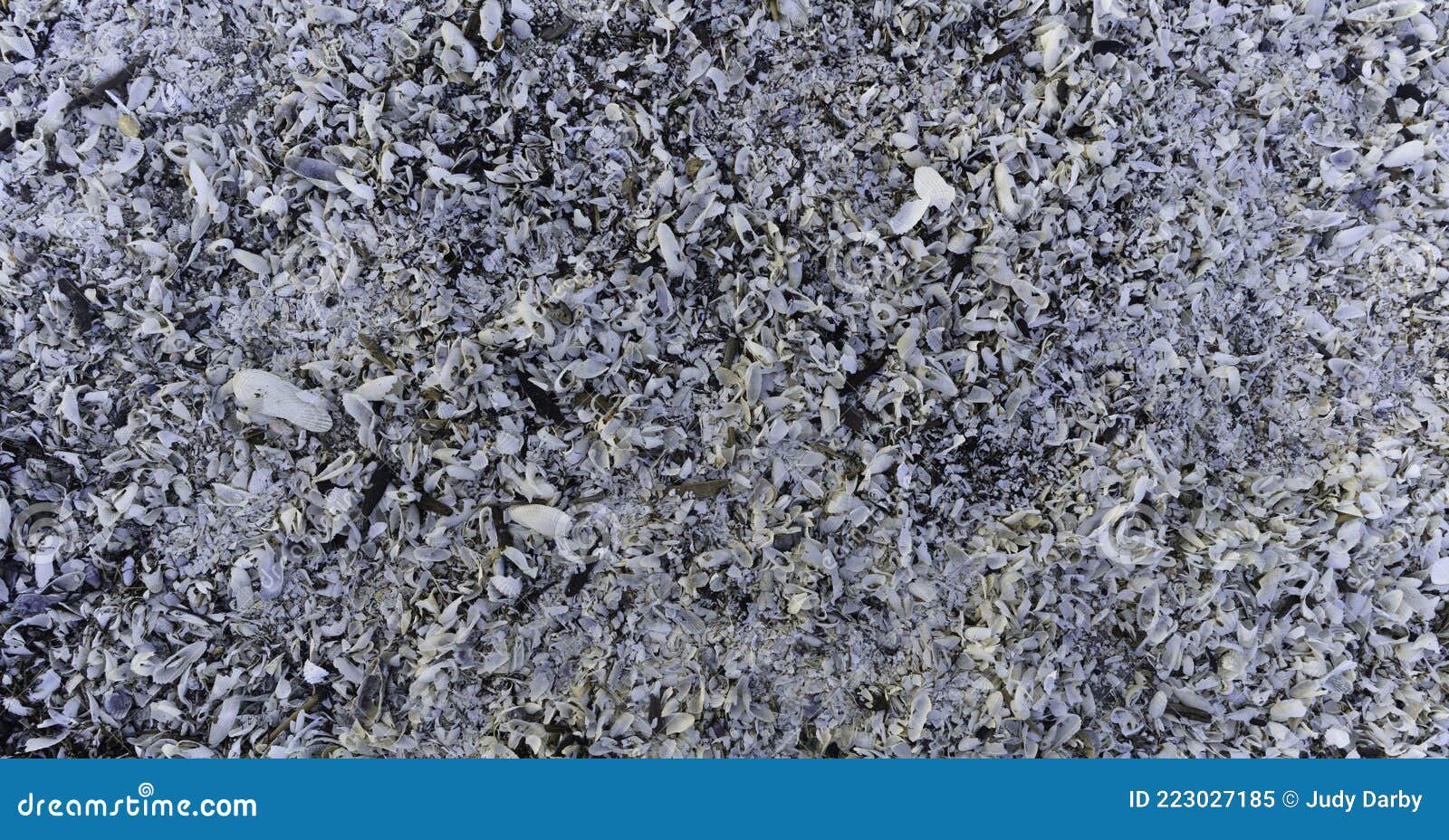 Shell Hash, a Rough Gray Surface Texture Stock Image - Image of plain ...