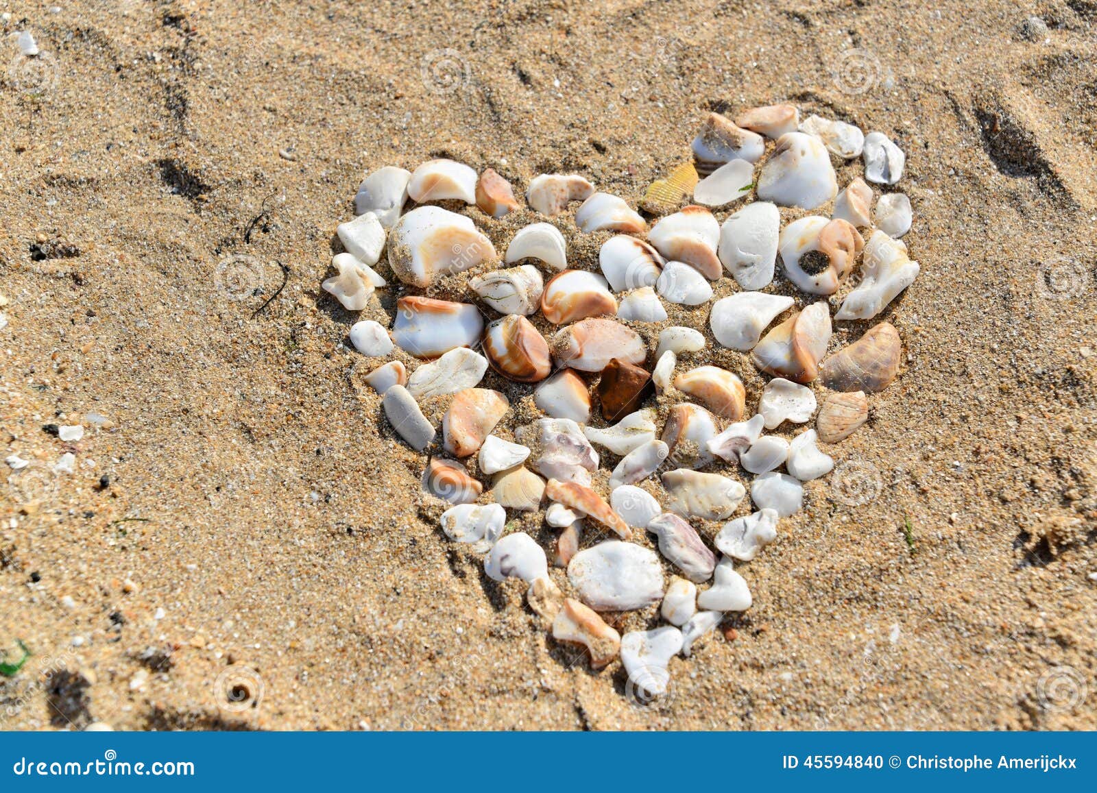 Shell Heart stock photo. Image of romantic, union, romance - 45594840