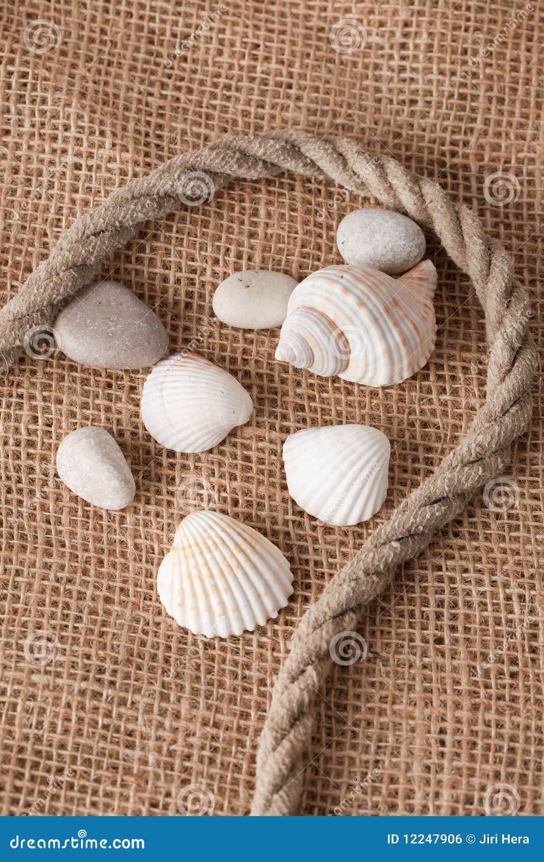 Shell het laing op jute stock foto. Image of ontspanning - 12247906