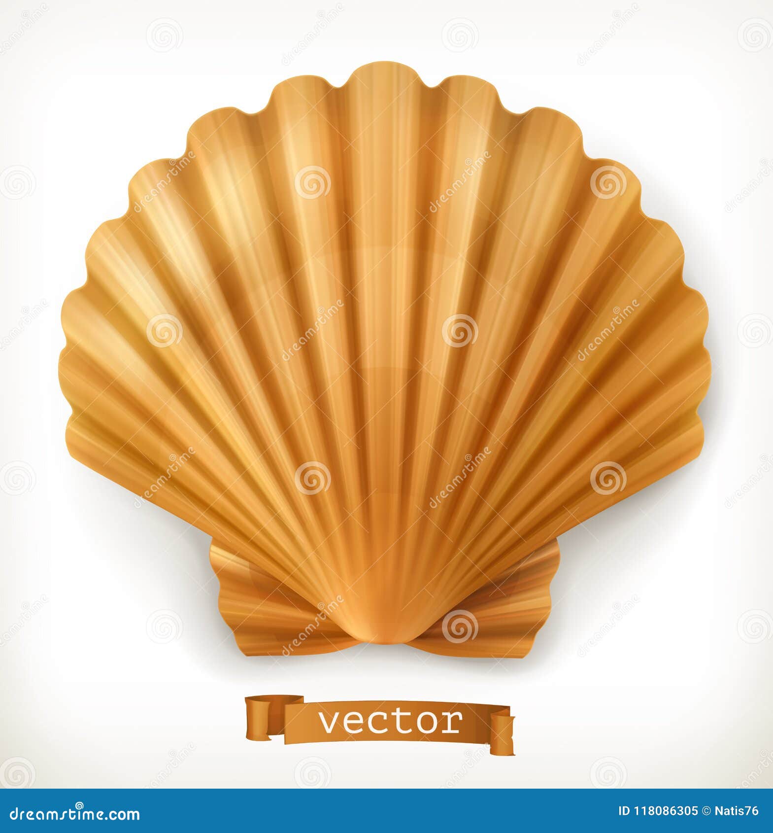 Shell icono del vector 3d ilustración del vector. Ilustración de concha ...
