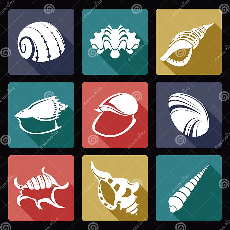 Shell icons stock vector. Illustration of design, scallop - 40949336
